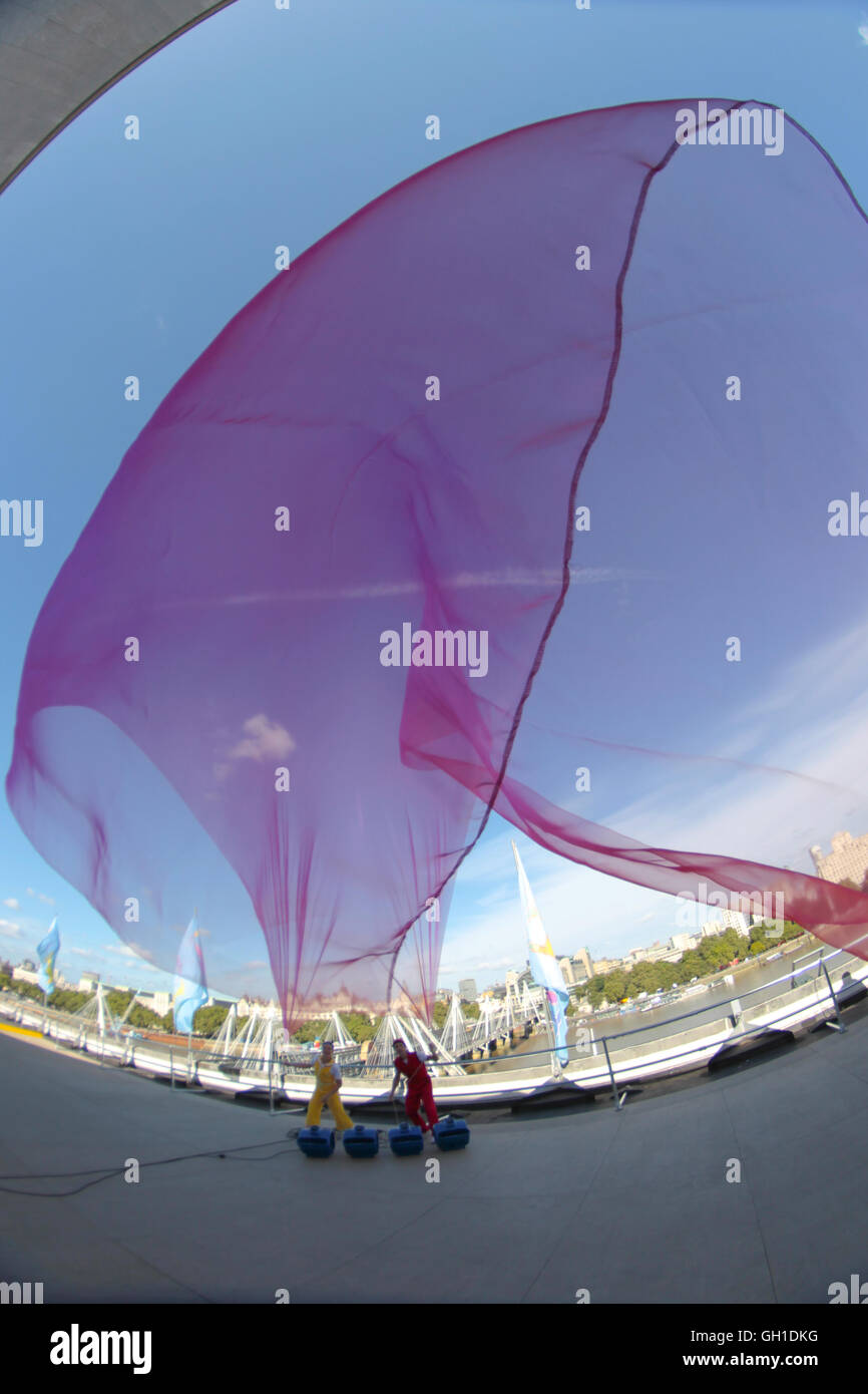 Kite displays hi-res stock photography and images - Alamy