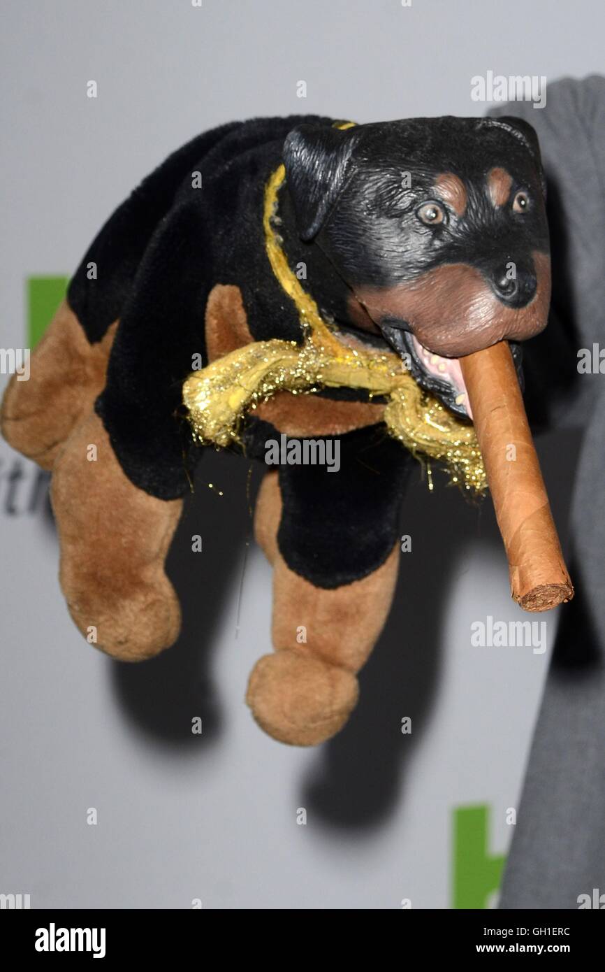 Triumph the insult comic dog hi-res stock photography and images - Alamy