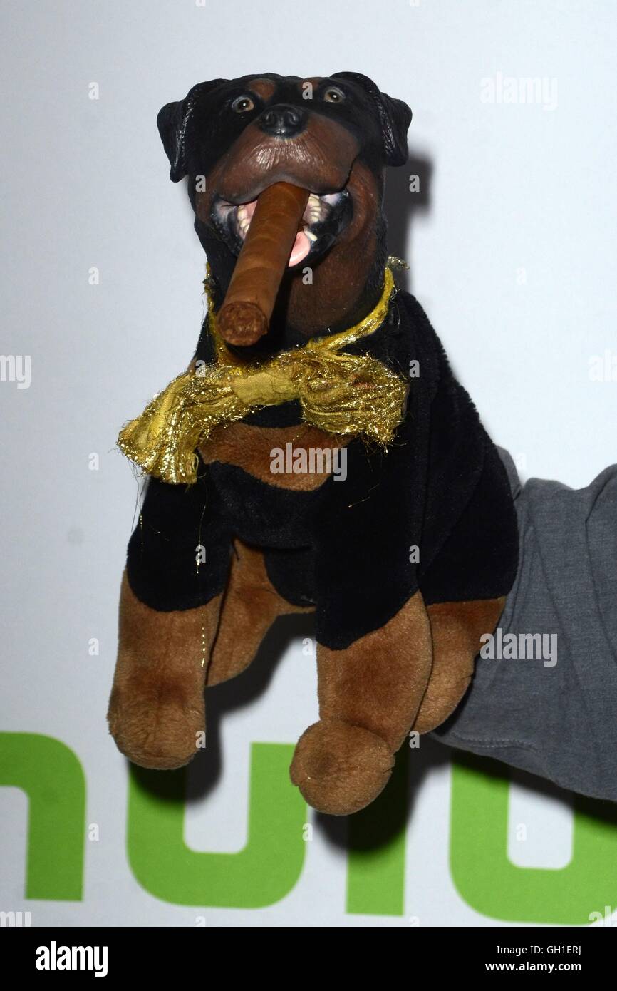 Triumph insult comic dog hi-res stock photography and images - Alamy