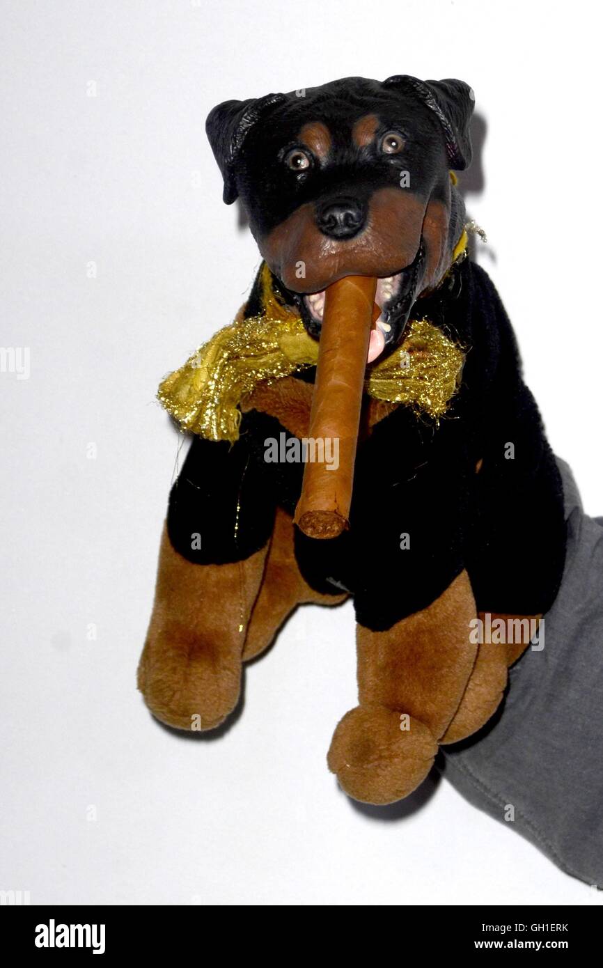 Beverly Hills, CA. 5th Aug, 2016. Triumph the Insult Comic Dog at ...