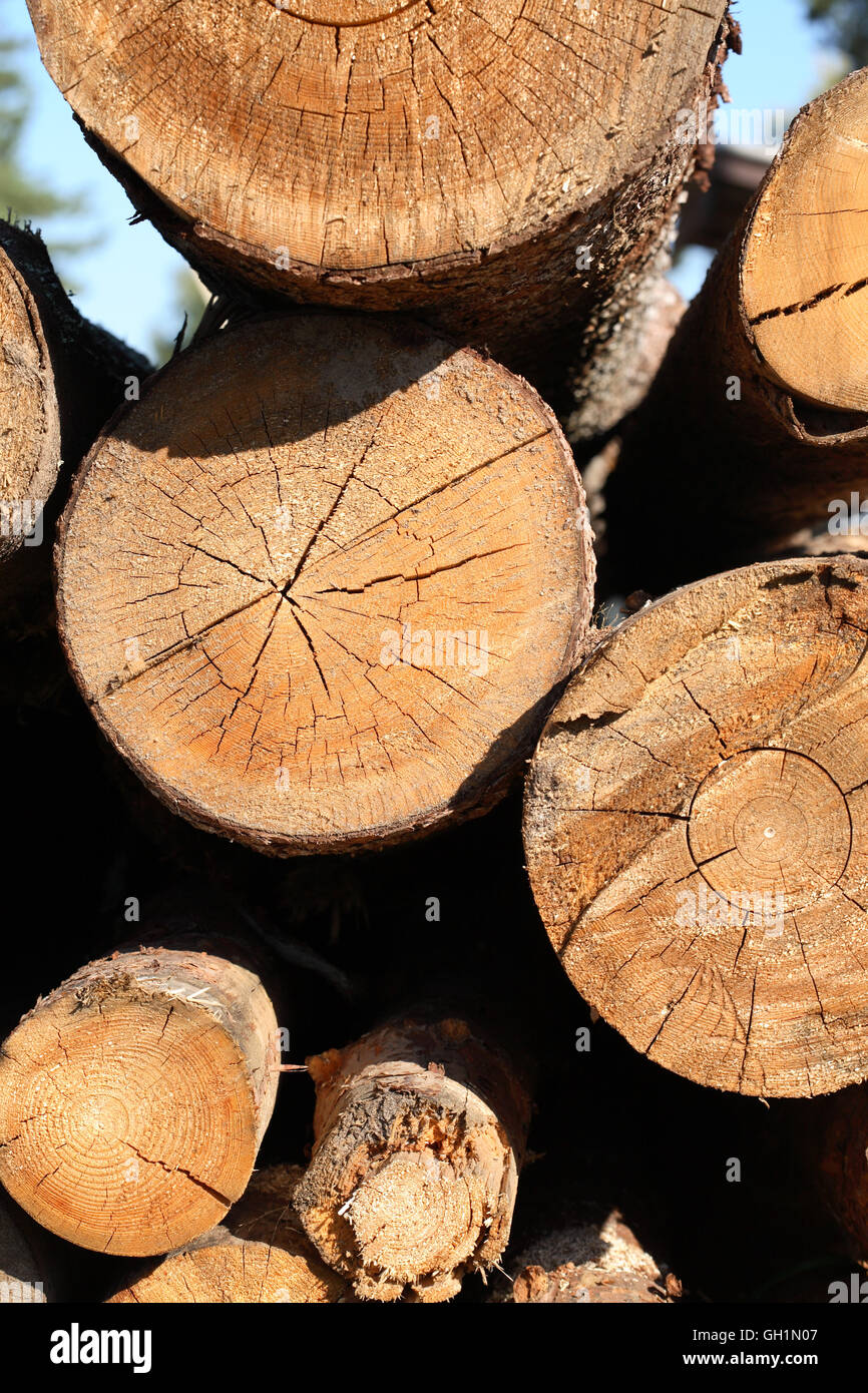 Stacked and cut logs closeup. Good background Stock Photo - Alamy