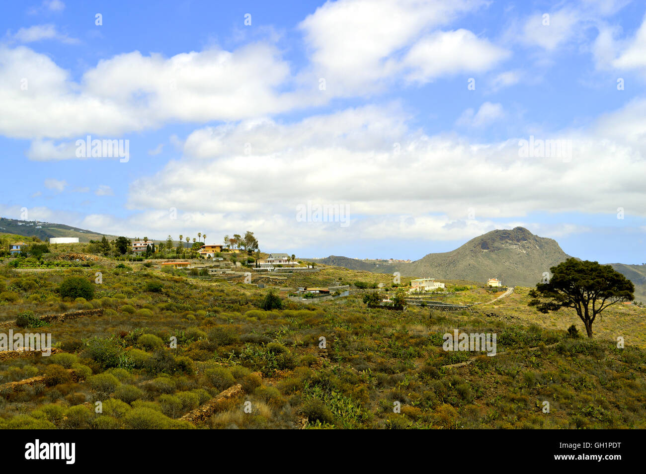 Boca Tauce in Mount Teide National Park Stock Photo - Alamy