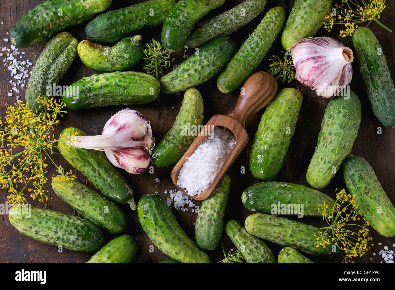 Cucumbers for pickling Stock Photo - Alamy