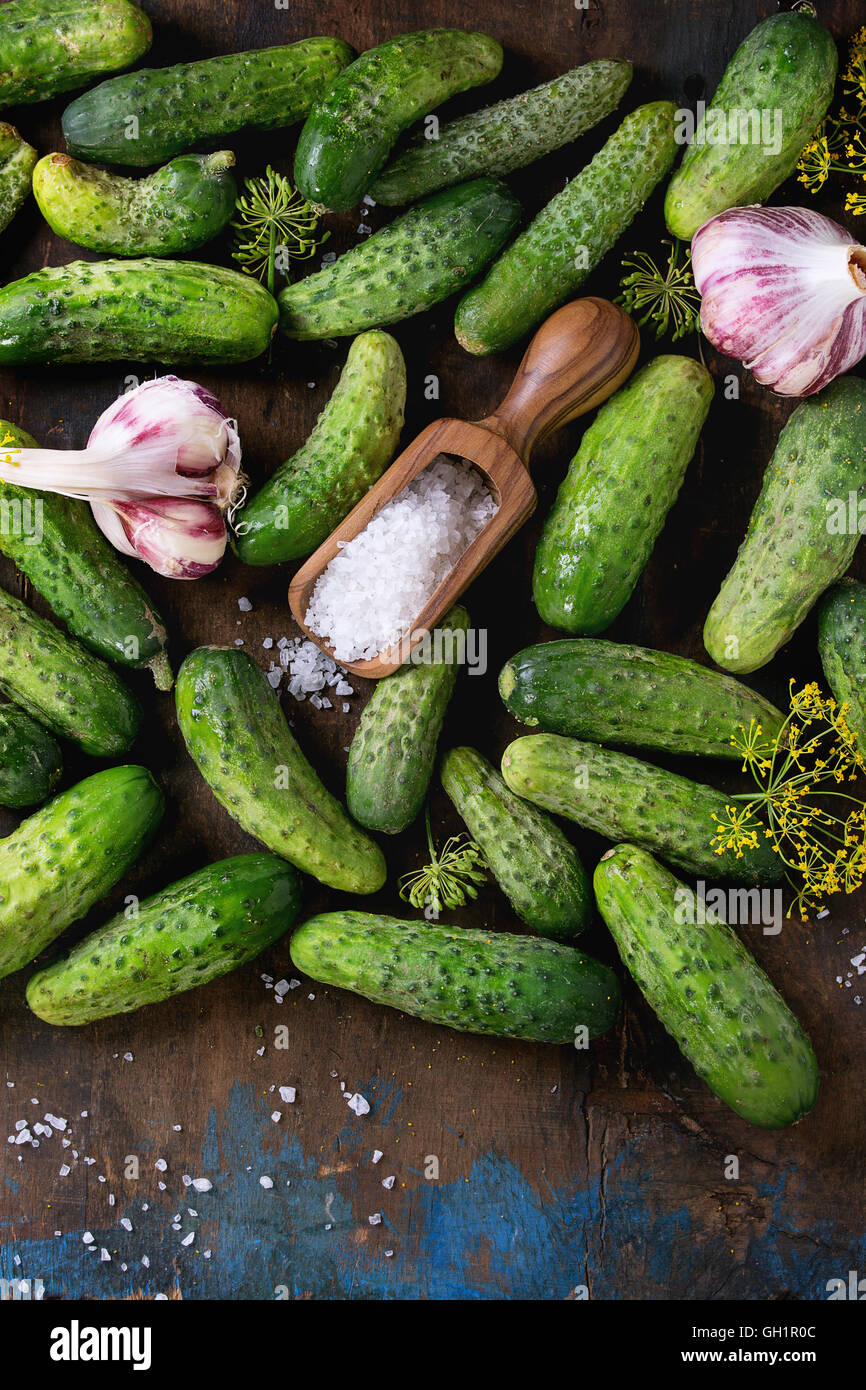 Cucumbers for pickling Stock Photo - Alamy