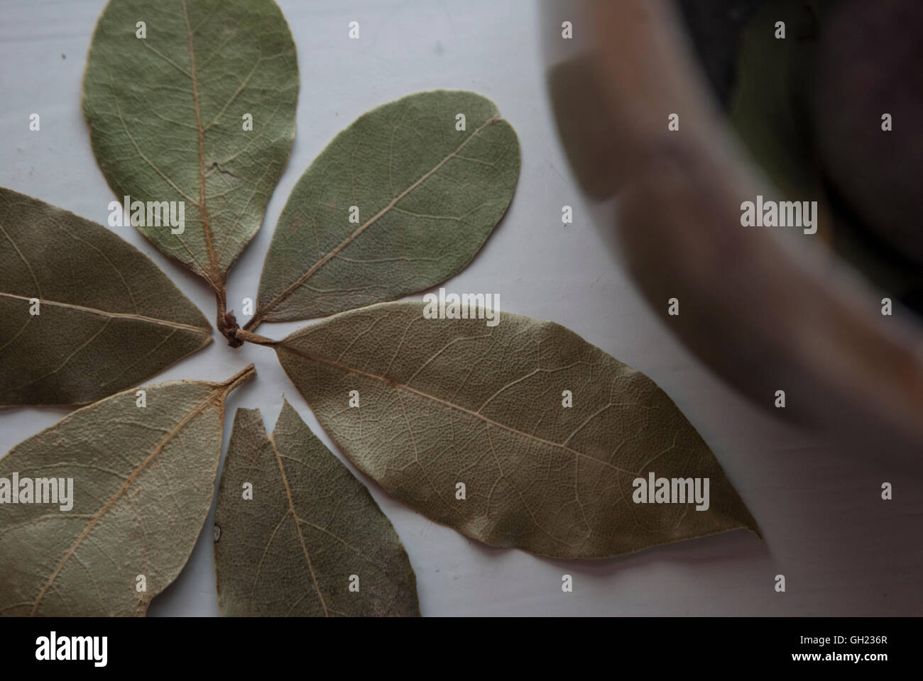 Bay leaves shaped as a flower with a brown mortar in a background Stock ...
