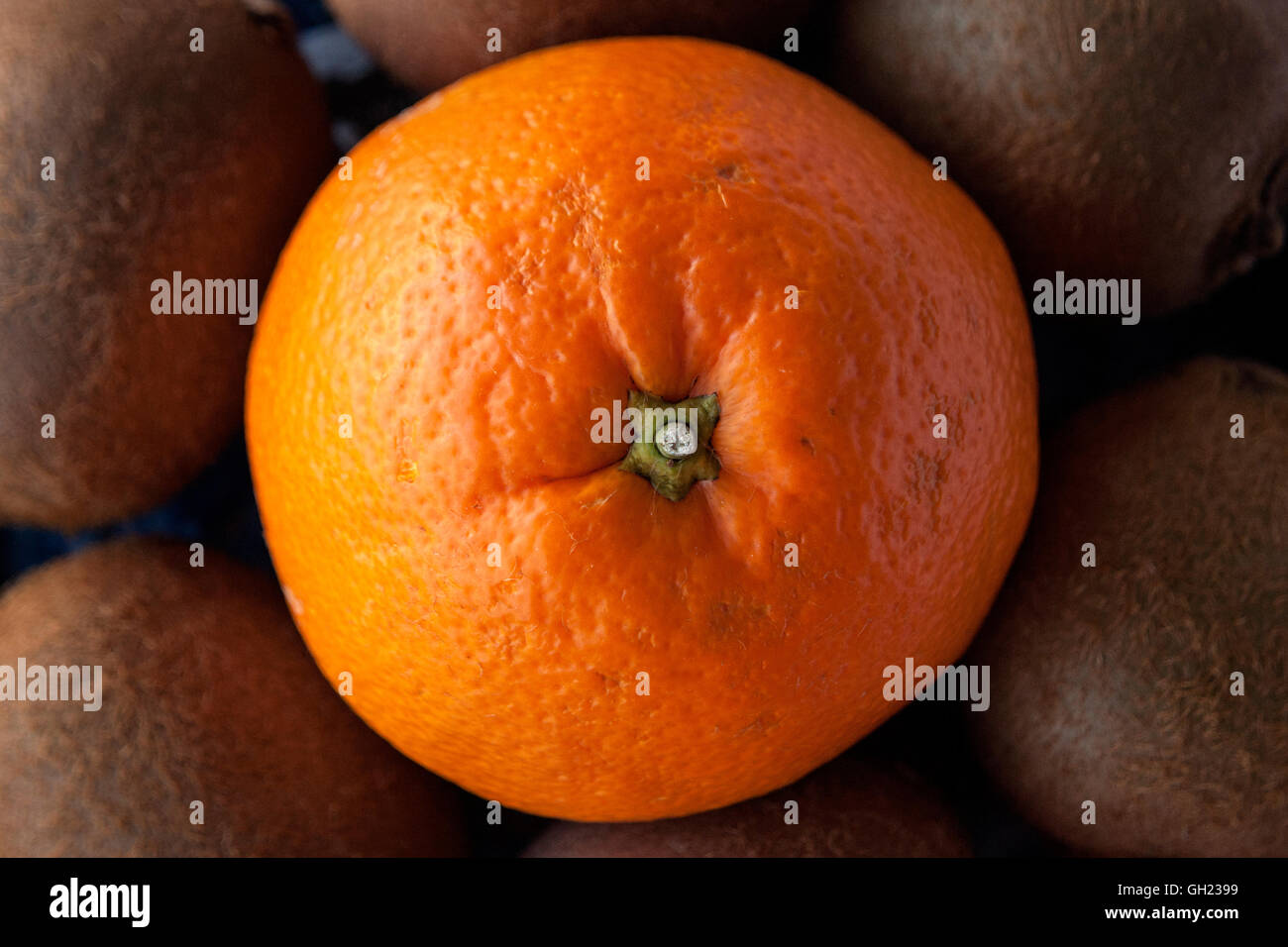 Round fruit composition made of exotic fruits: orange and kiwis Stock ...