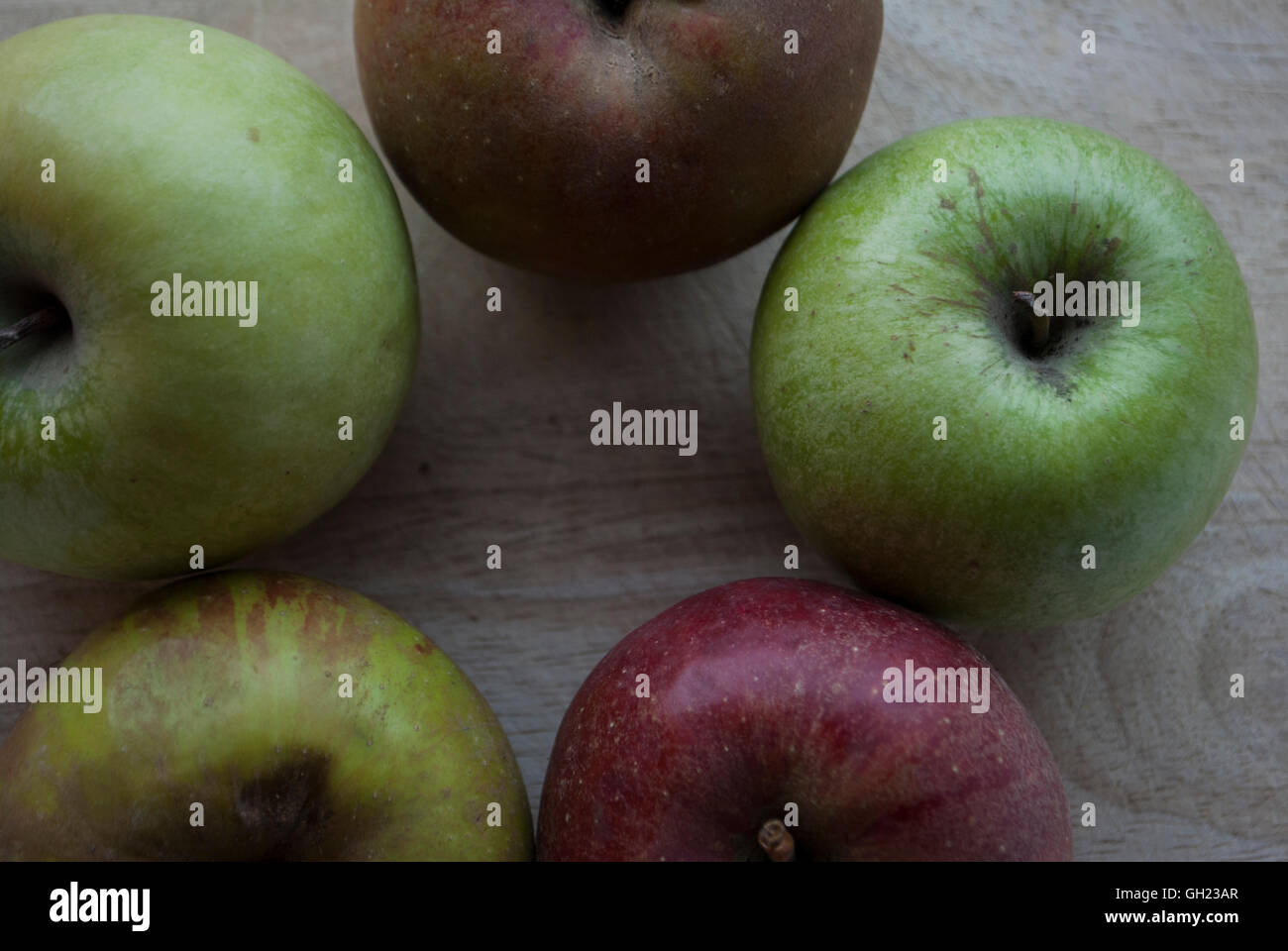 Five apples, three green and two red shaped in a round composition on a ...