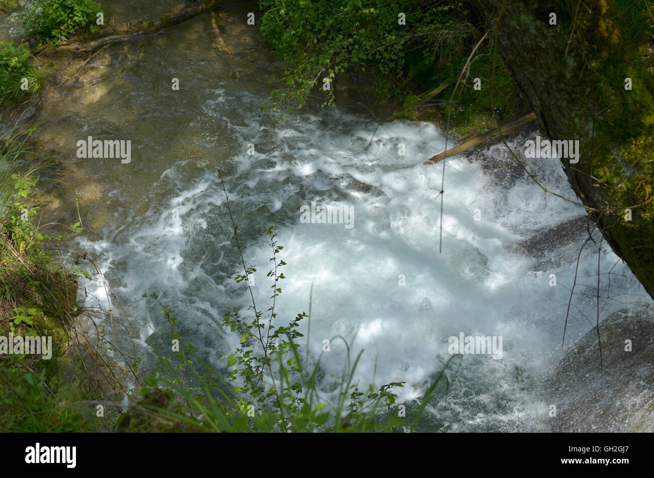 Foamy water of a fast mountain river flowing down the mountain ...