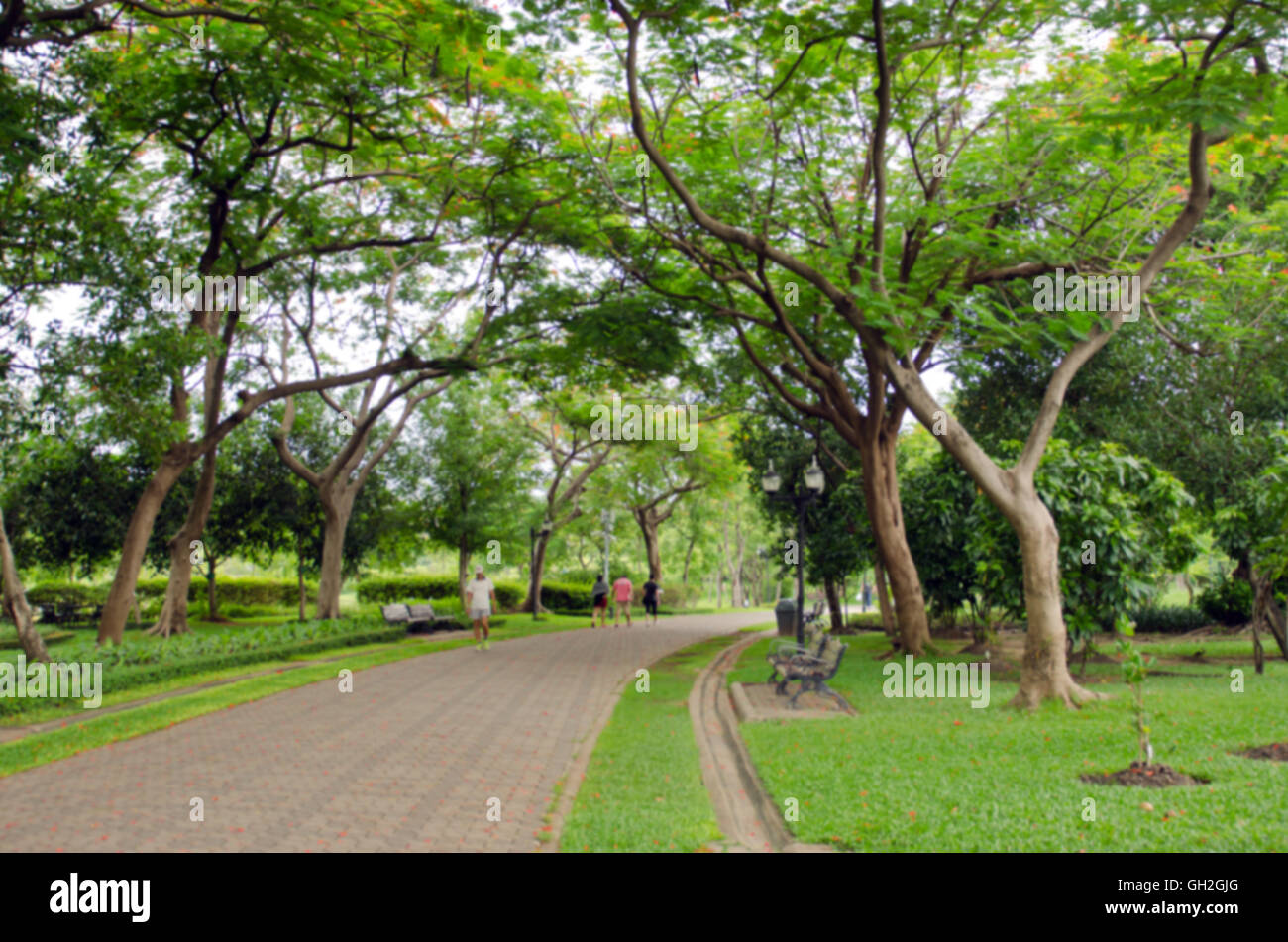 People relax in green park hi-res stock photography and images - Alamy
