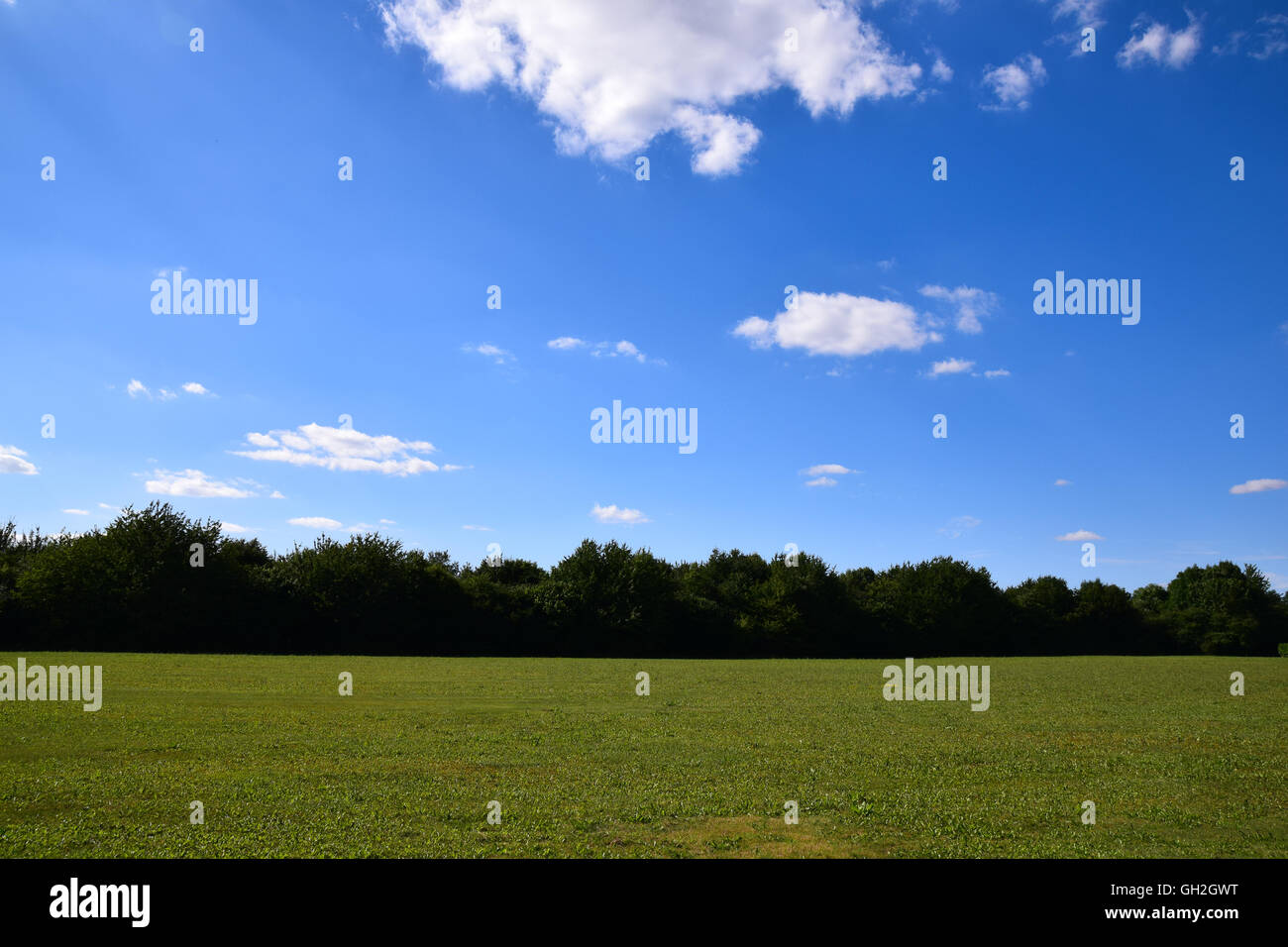Summer landscape scene Stock Photo - Alamy