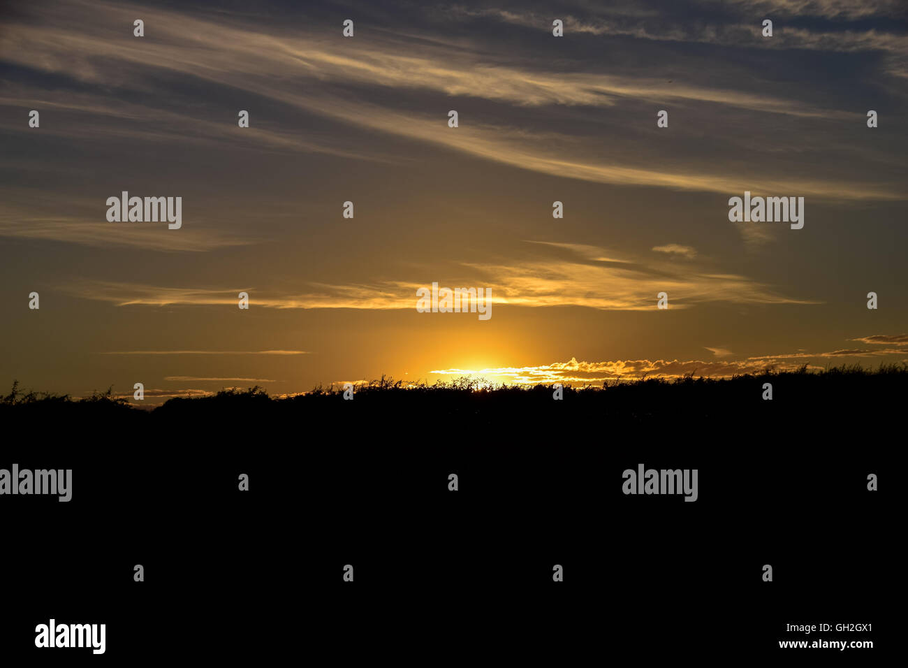 Late summer sunset over woodland Stock Photo - Alamy