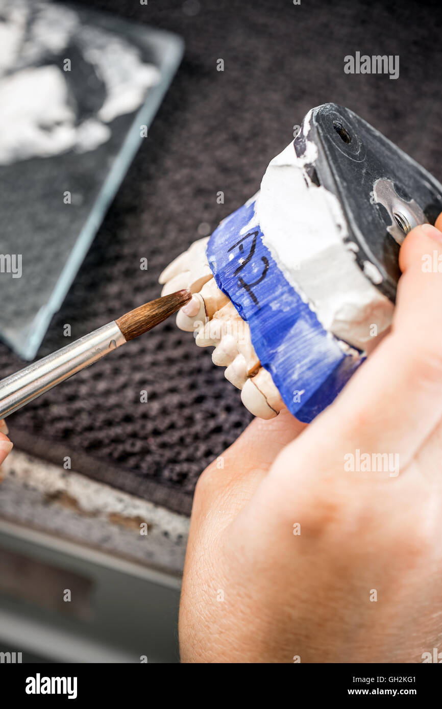 Woman hand painting denture, denture concept Stock Photo - Alamy