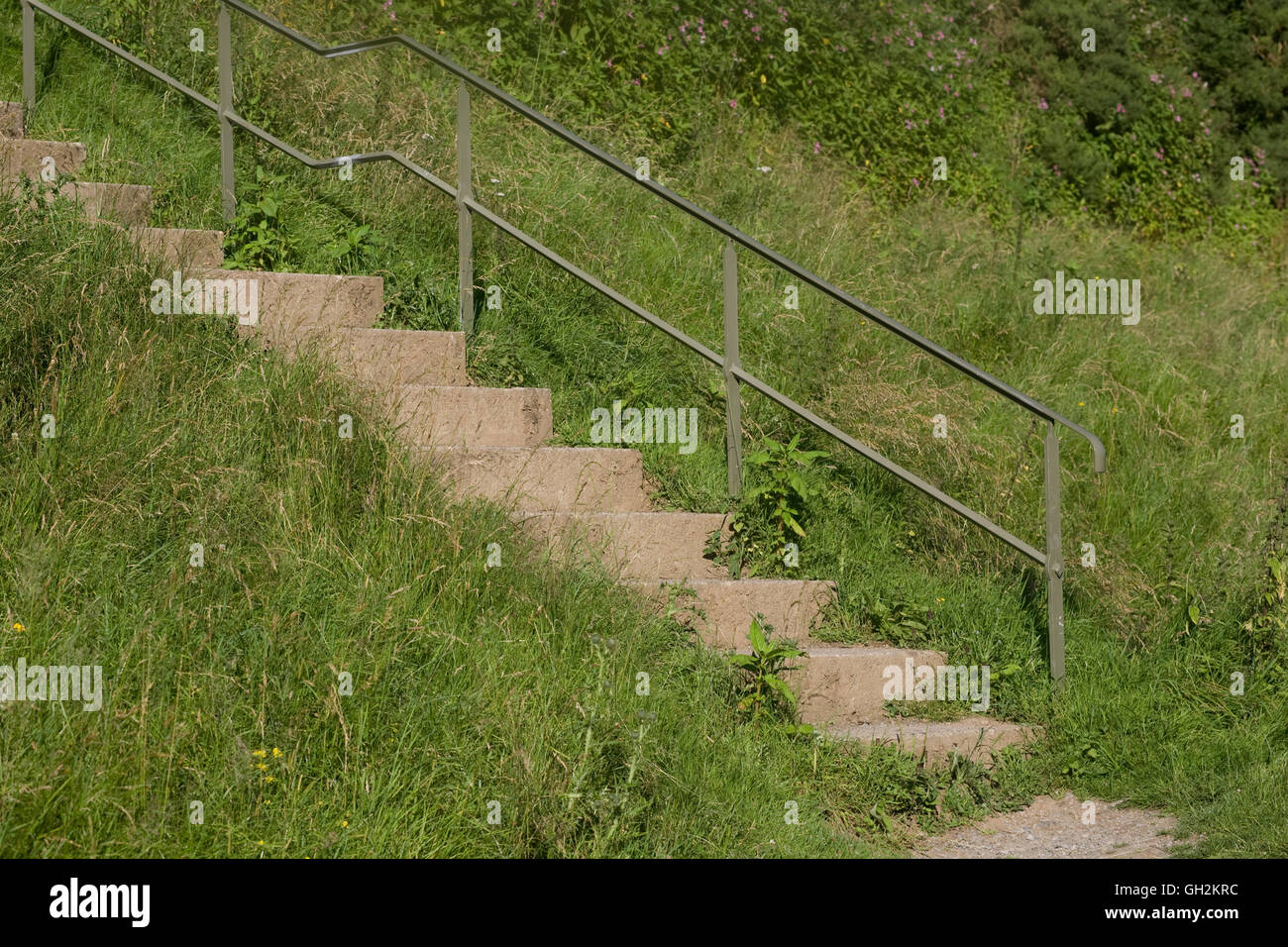 Concrete steps hi-res stock photography and images - Alamy