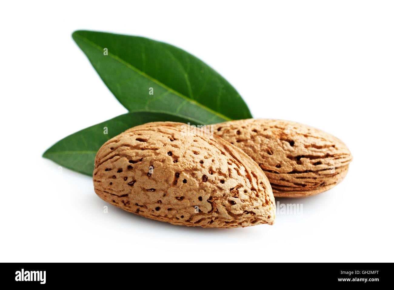 Almonds with leaves isolated on a white background Stock Photo - Alamy