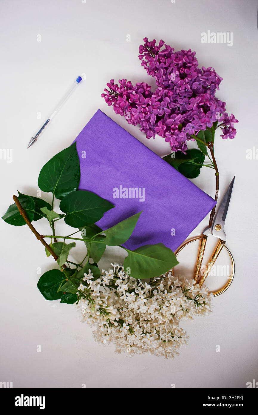 Purple and white lilac on a white background. Scissors, pen and a large ...