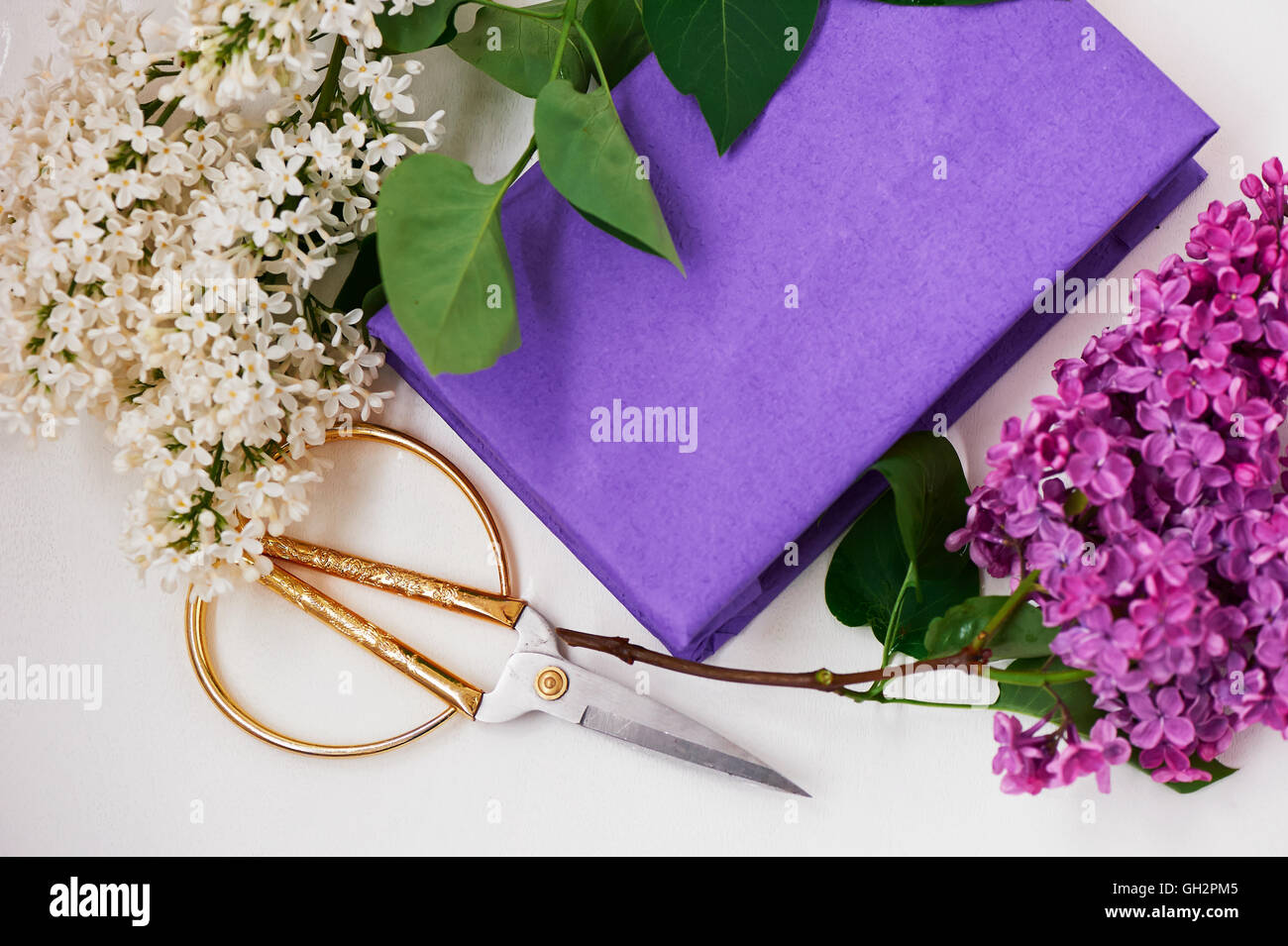 Purple and white lilac on a white background. Scissors and a large gold ...