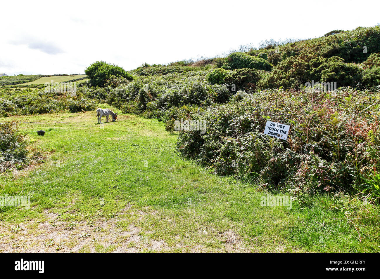 A sign in a field saying 'do not touch the donkey' Stock Photo - Alamy