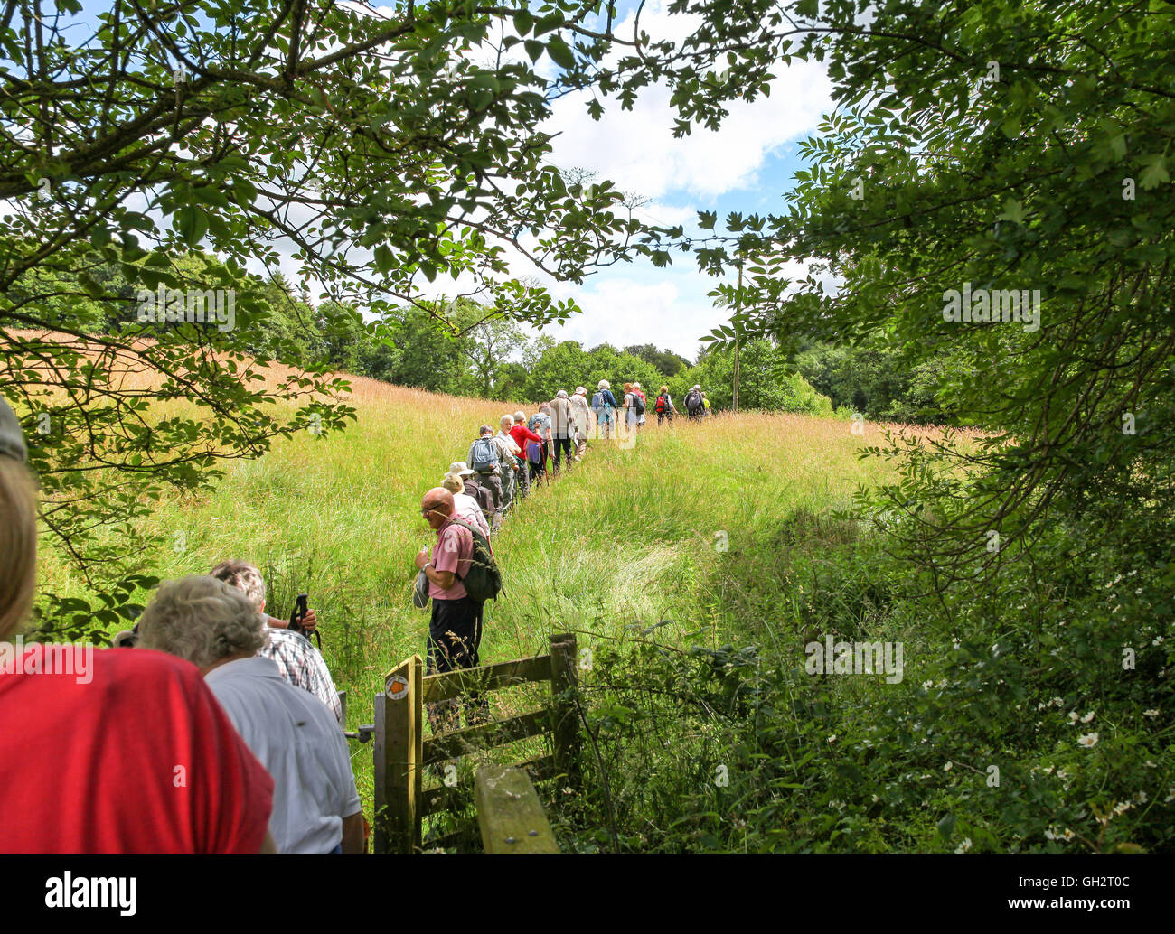 A line of walkers on an organised walk across a field in the ...