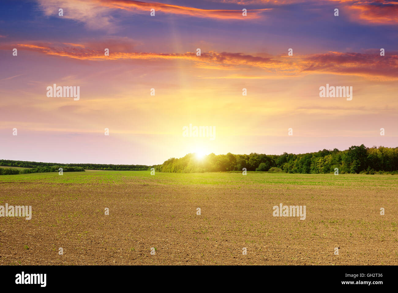 plowed field and beautiful sunset Stock Photo - Alamy