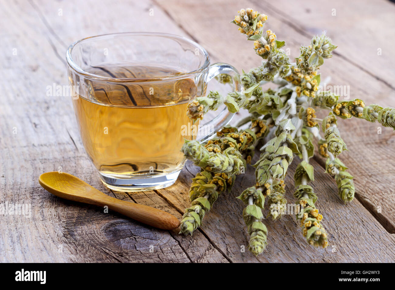 Mountain tea. Sideritis herbal tea and flowers on wooden background ...