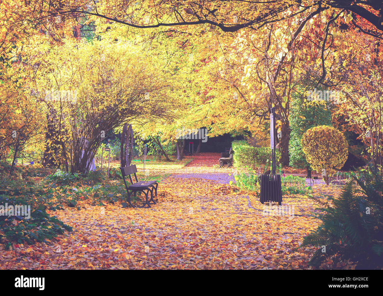 Fall park path Stock Photo - Alamy