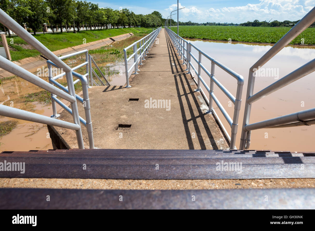 In Thailand there is a dam where there are many floating aquatic plants ...