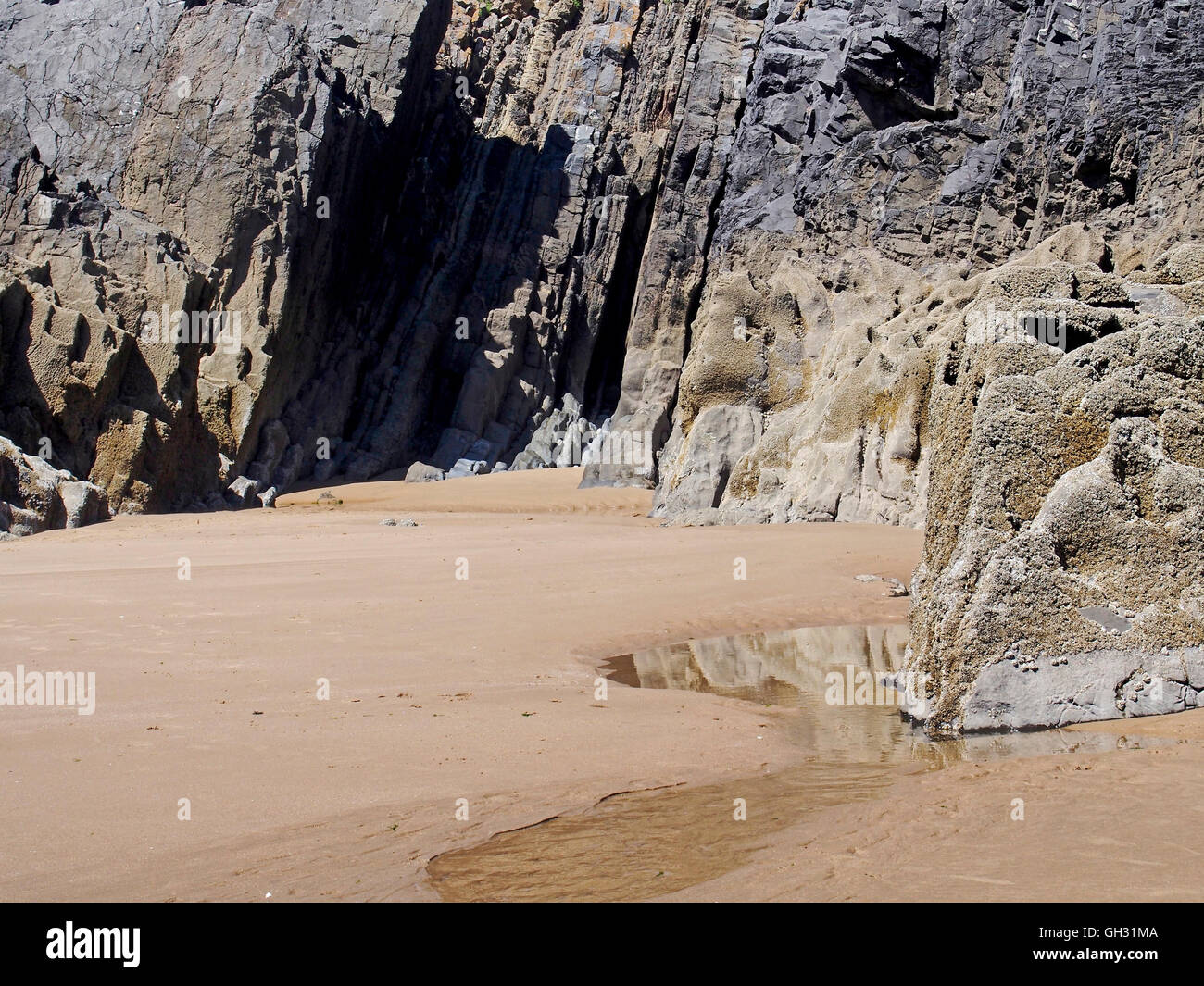 Close-up of limestone cliff at Three Cliff Bay, Gower showing marine ...