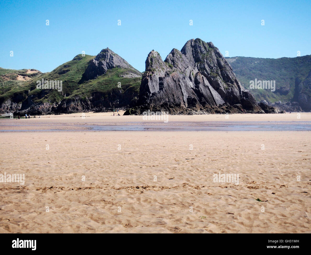The Great Tor headland on the west of Three Cliff Bay, Gower showing ...