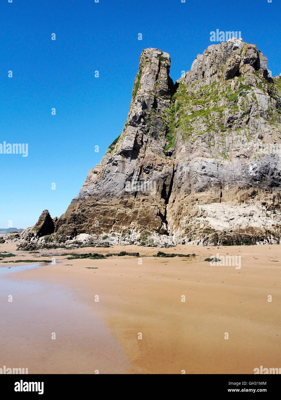 The Great Tor headland on the west of Three Cliff Bay, Gower showing ...