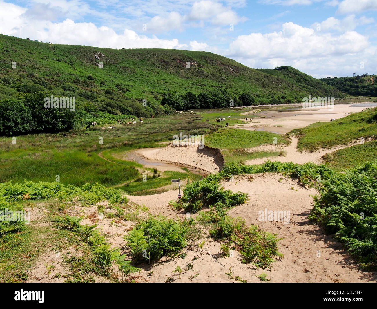 Salt marsh and sand dunes below the former cliff line at Three Cliff ...