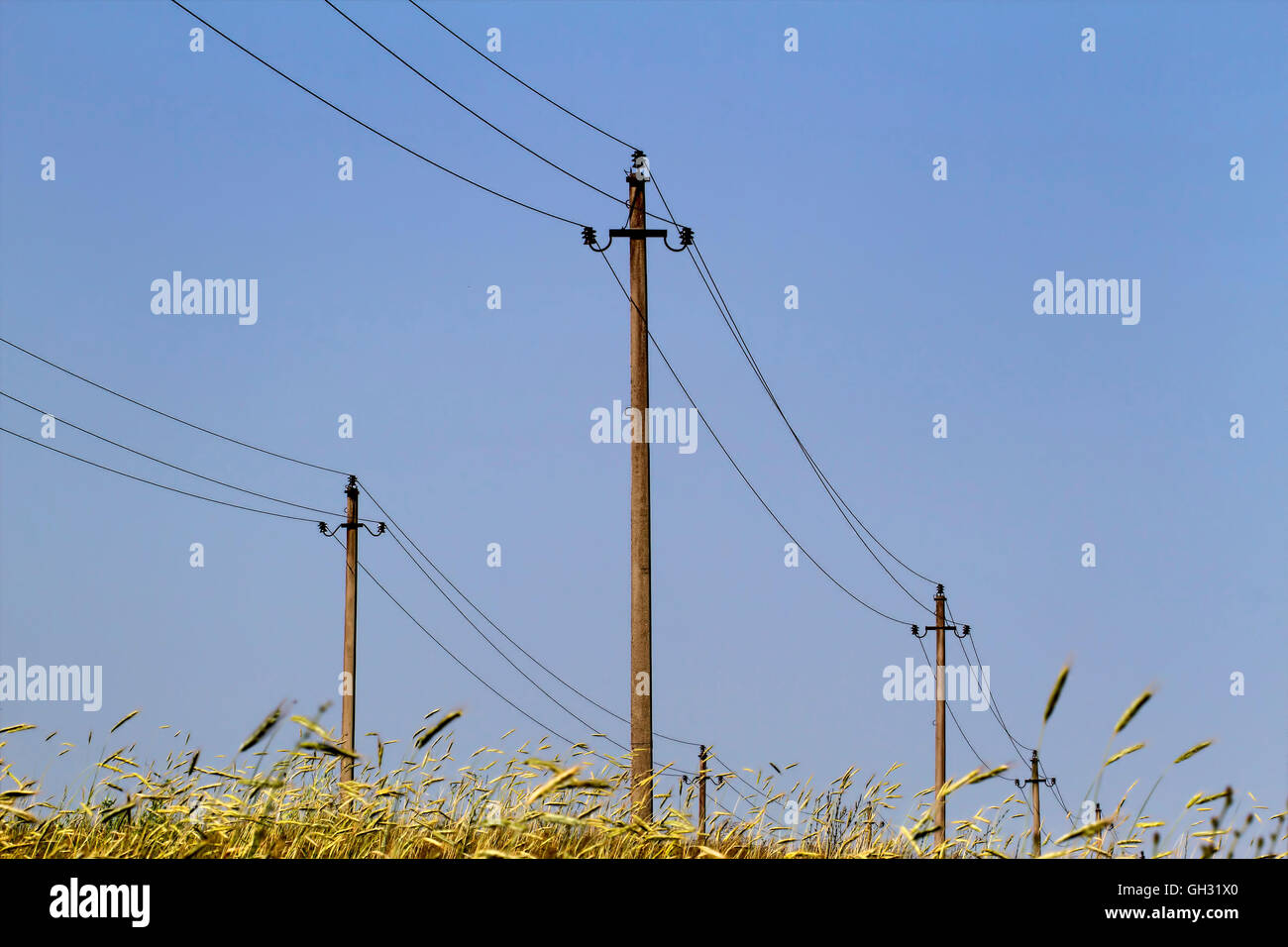 Telephone poles green field sky cable hi-res stock photography and ...