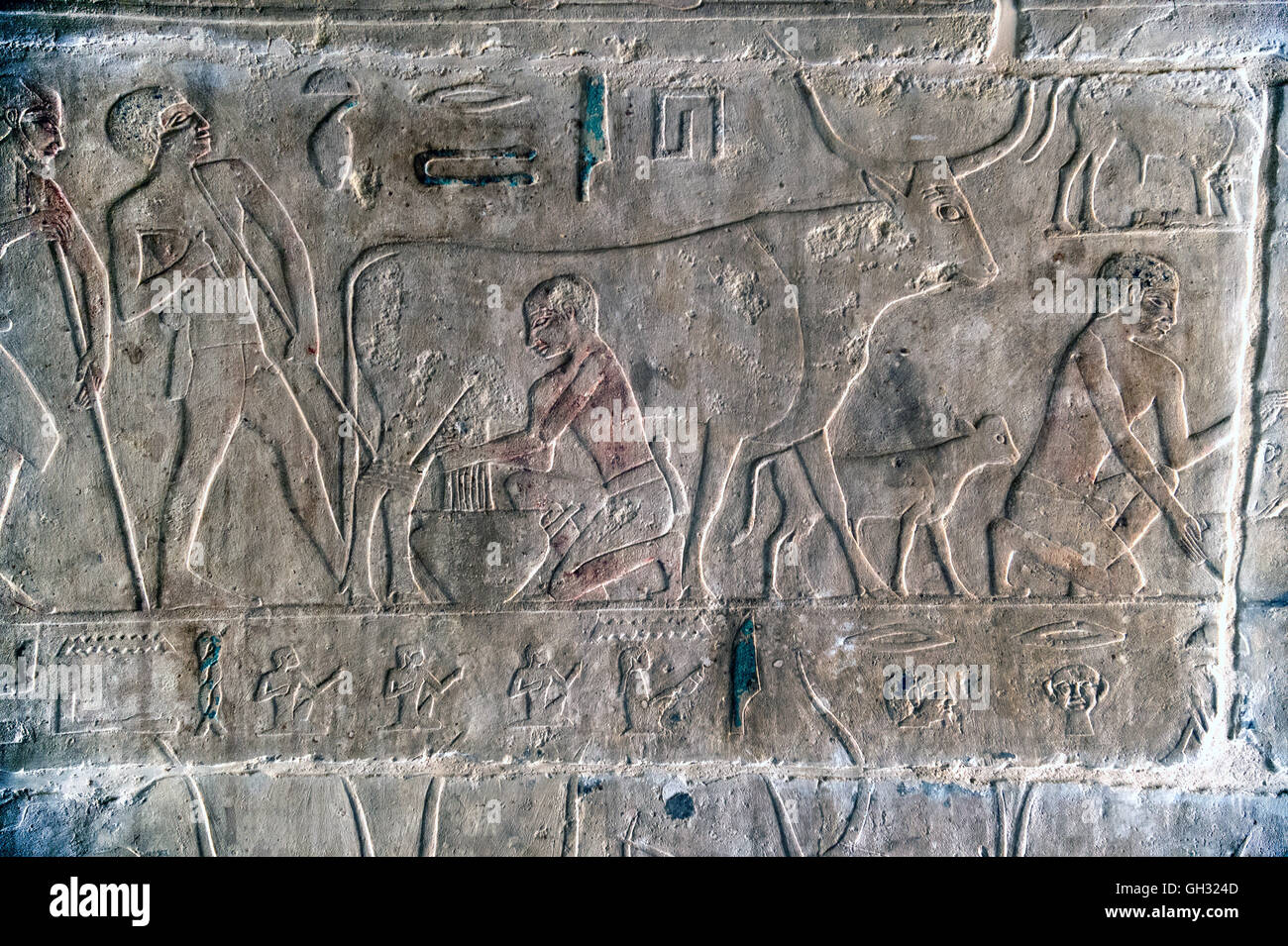 Egypt, Saqqara, mastaba of Ni-Ank-Khnum and Knum-Hotep: various reliefs ...
