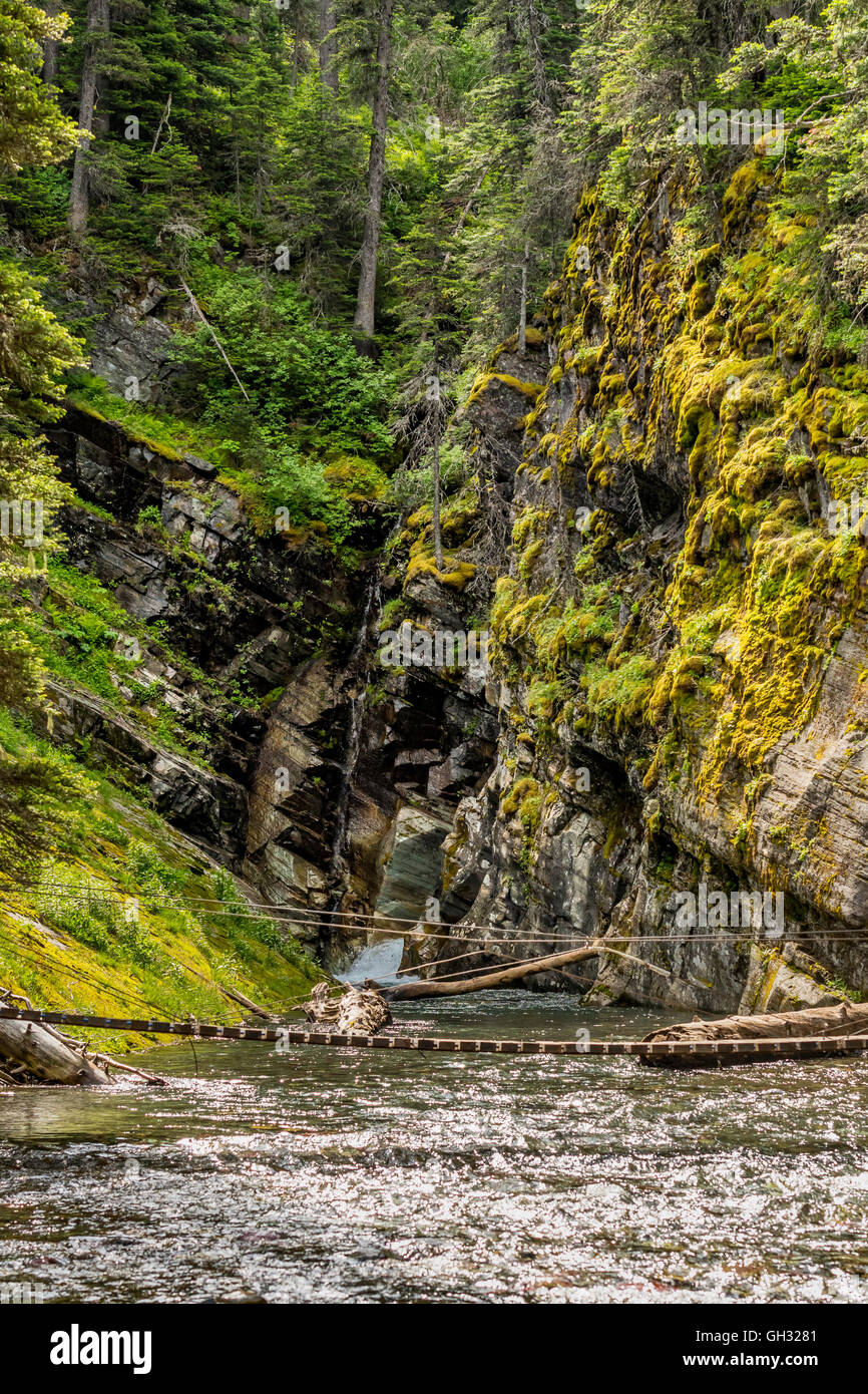 Rickety rope bridge hi-res stock photography and images - Alamy