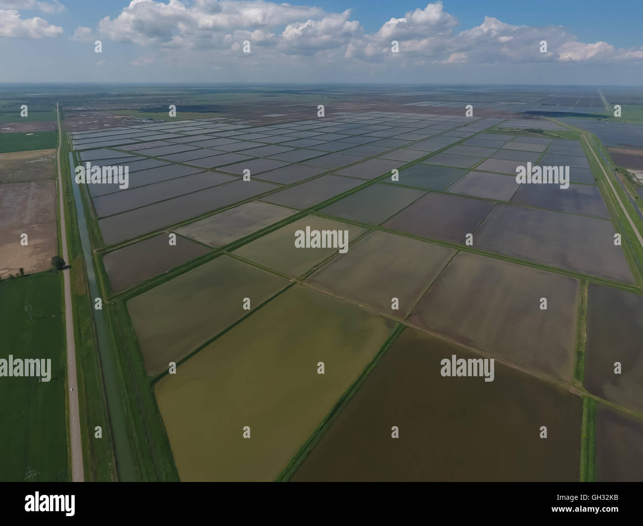 Flooded rice paddies. Agronomic methods of growing rice in the fields ...