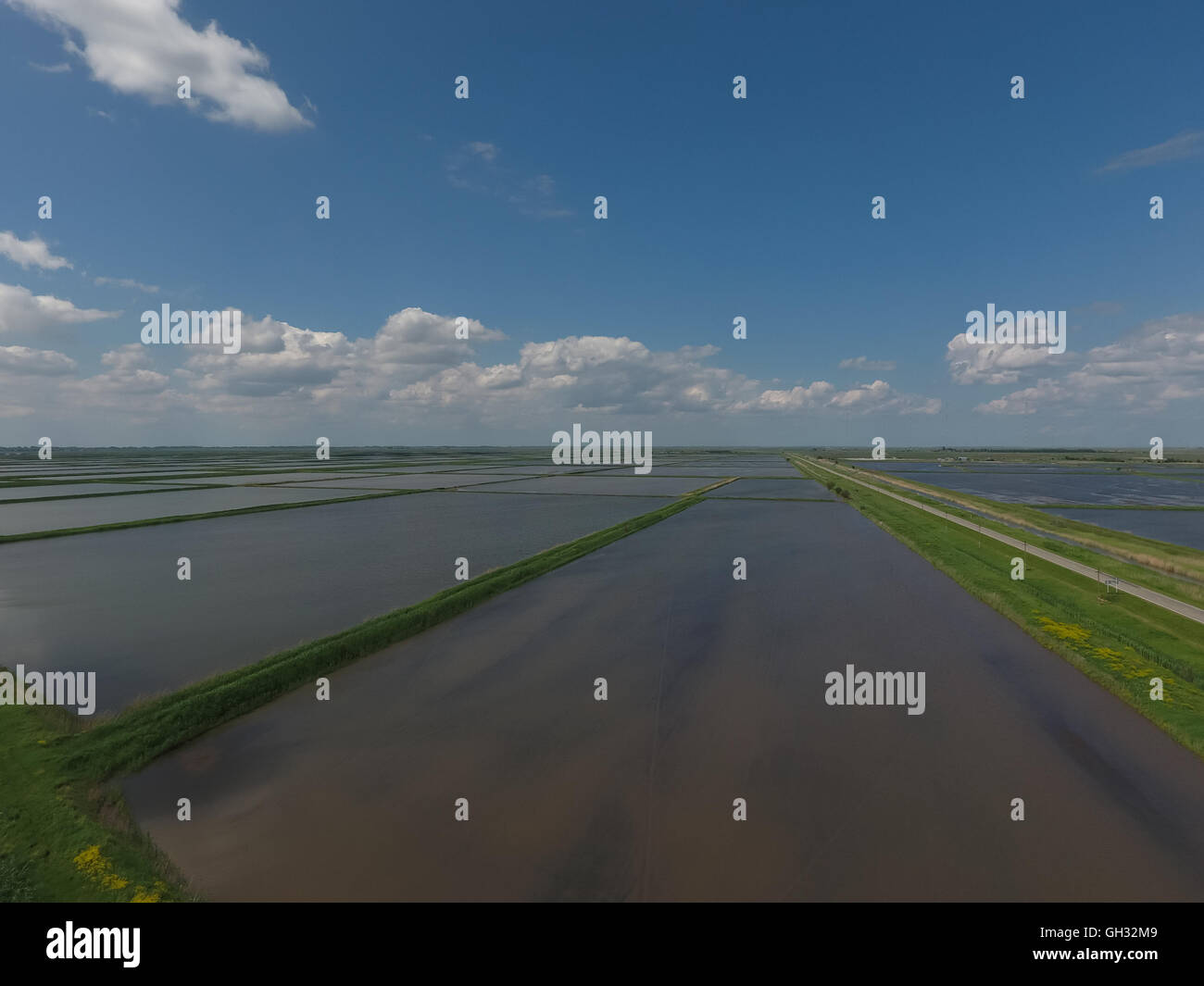 Flooded rice paddies. Agronomic methods of growing rice in the fields ...