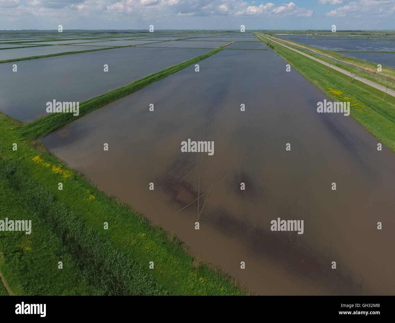 Top view flooded rice fields hi-res stock photography and images - Alamy