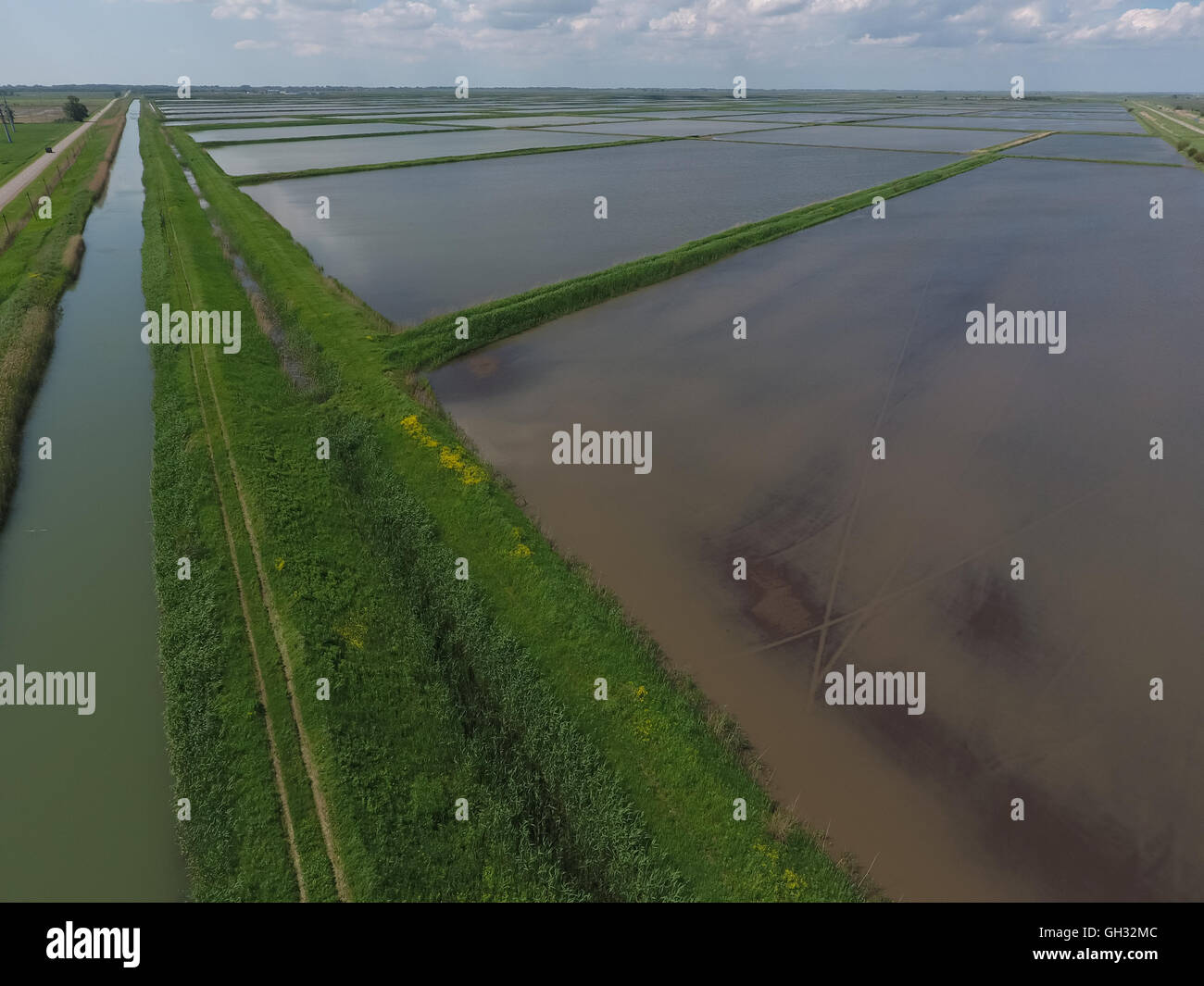 Paddy fields water irrigation canal hi-res stock photography and images ...