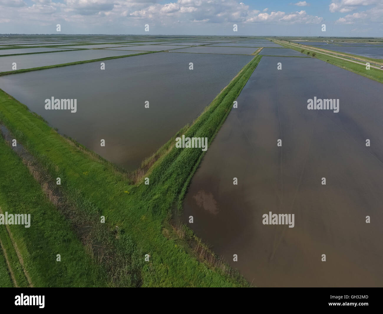 Flooded rice paddies. Agronomic methods of growing rice in the fields ...