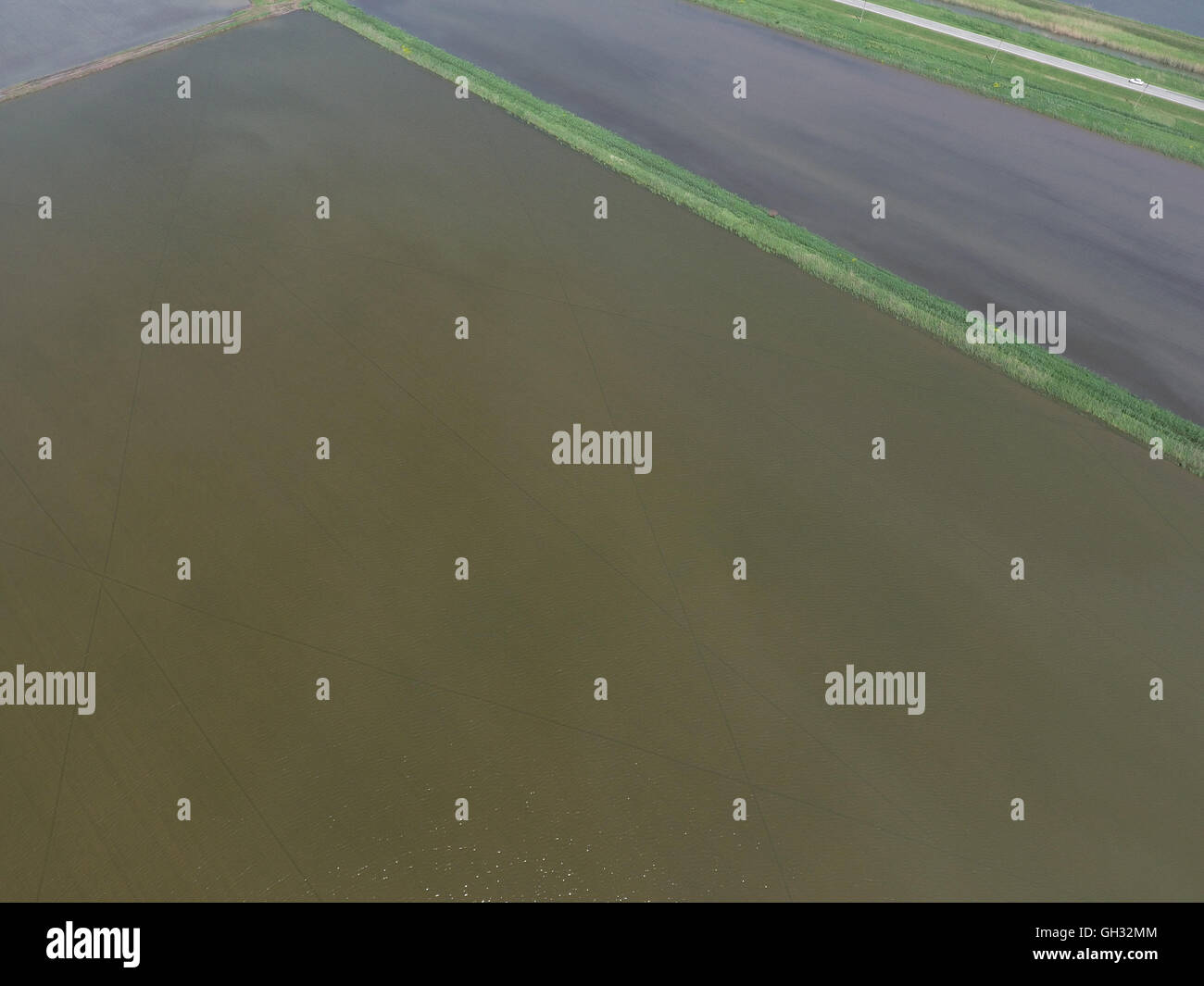 Flooded rice paddies. Agronomic methods of growing rice in the fields ...