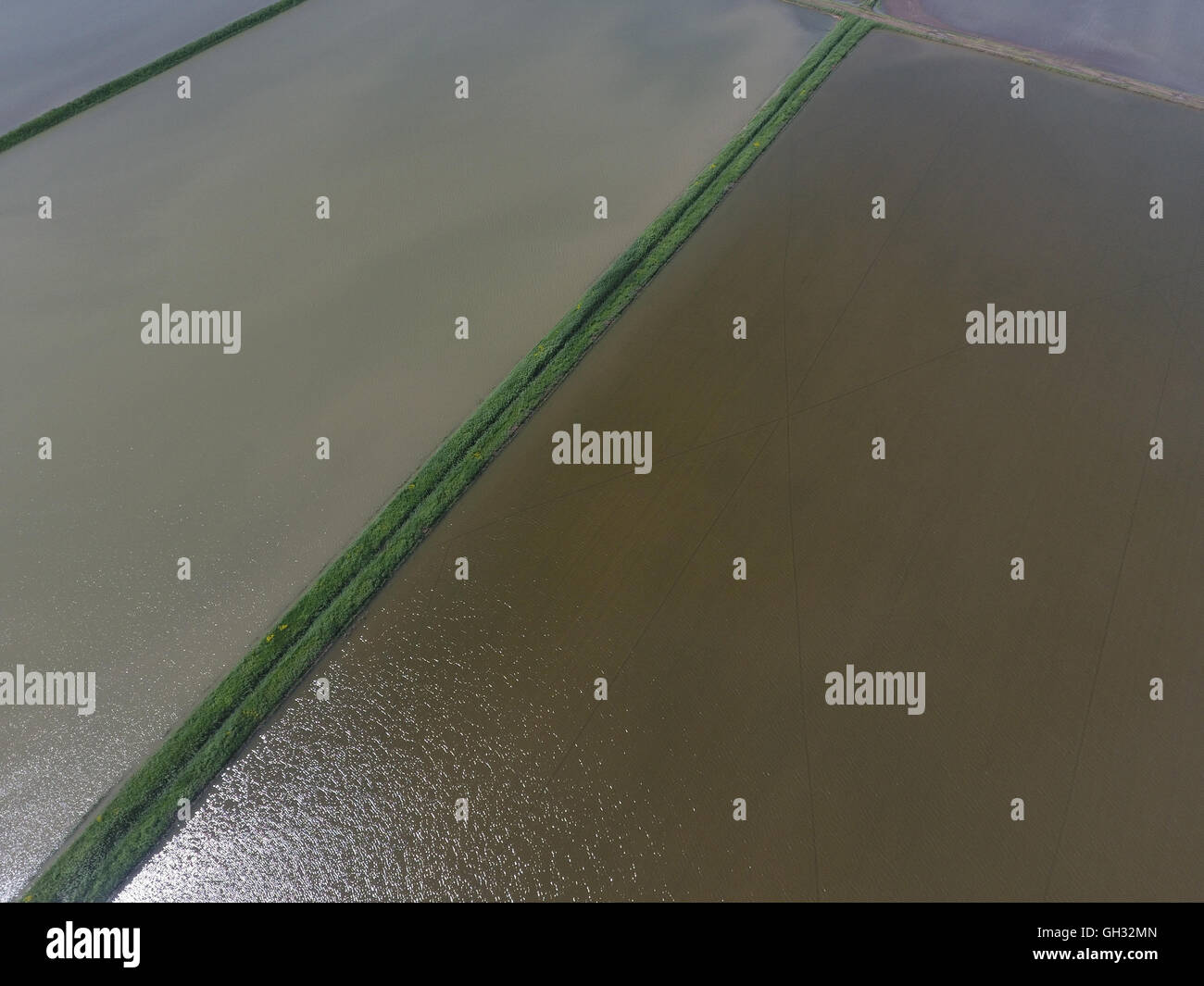 Flooded rice paddies. Agronomic methods of growing rice in the fields ...