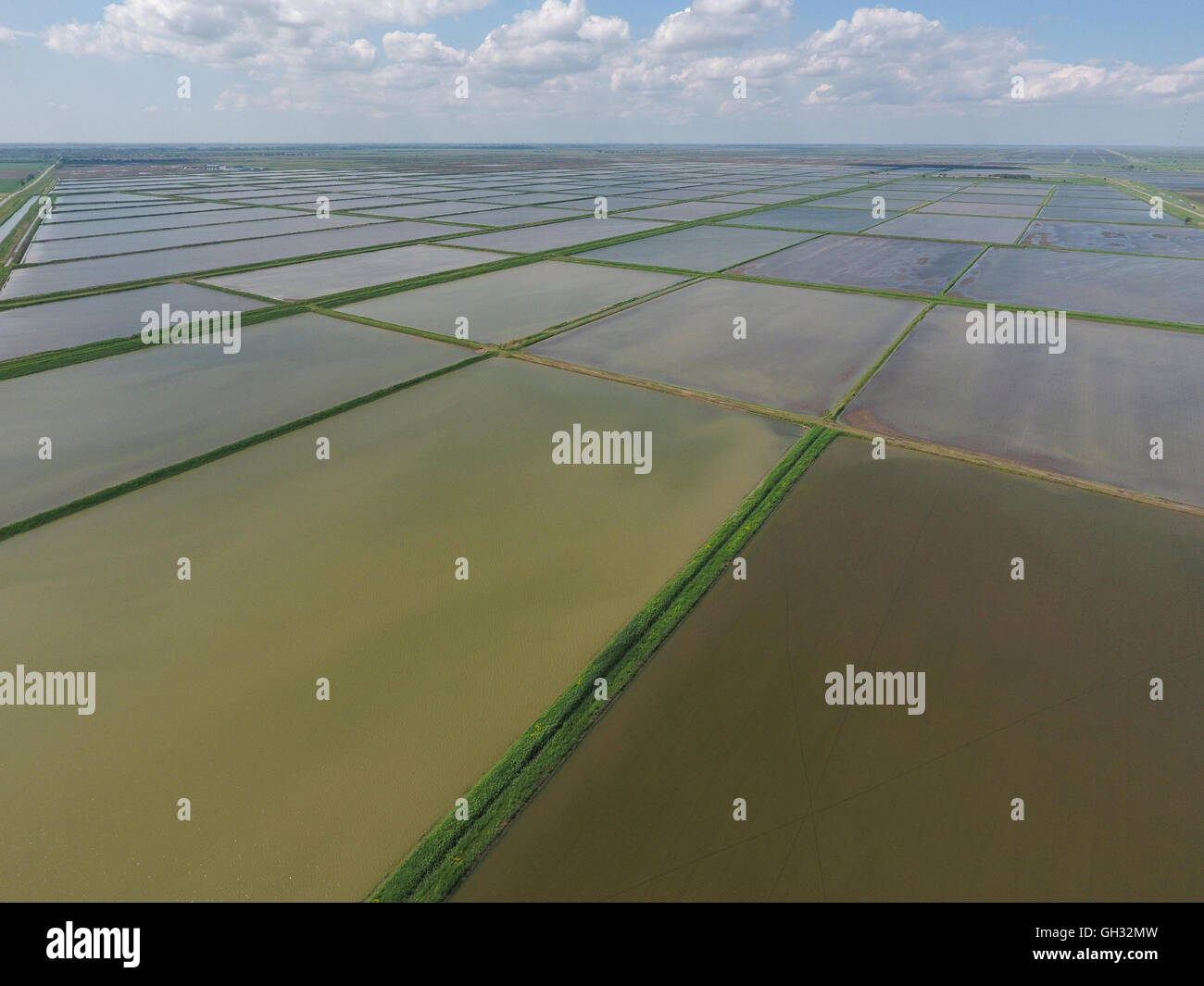 Flooded rice paddies. Agronomic methods of growing rice in the fields ...