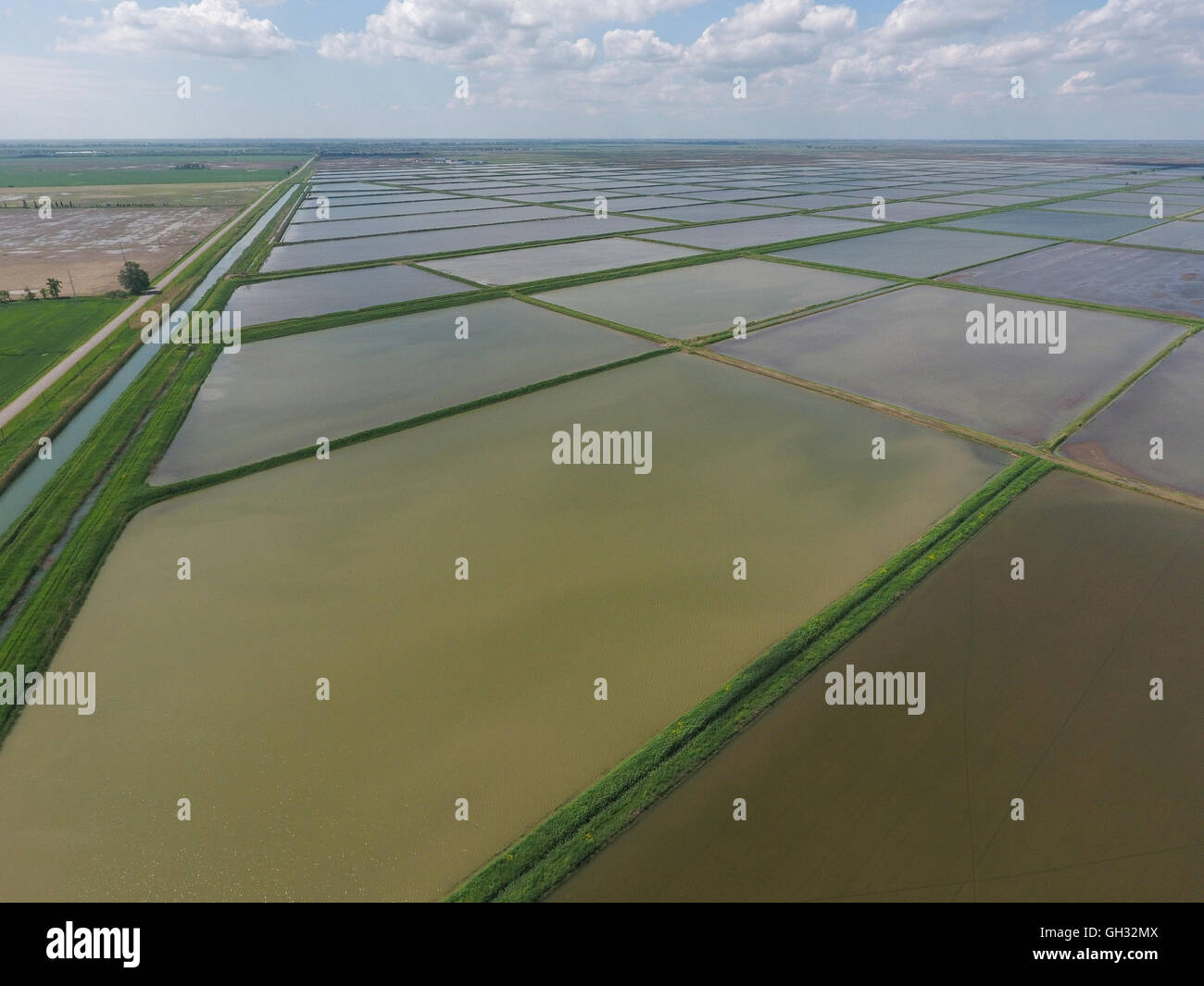 Flooded rice paddies. Agronomic methods of growing rice in the fields ...