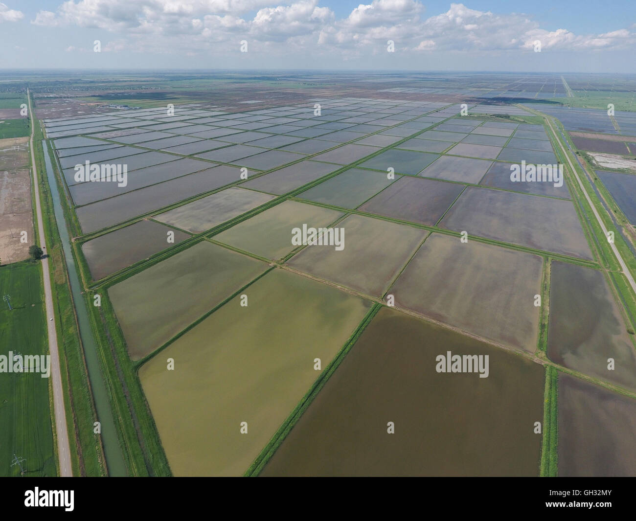 Flooded rice paddies. Agronomic methods of growing rice in the fields ...