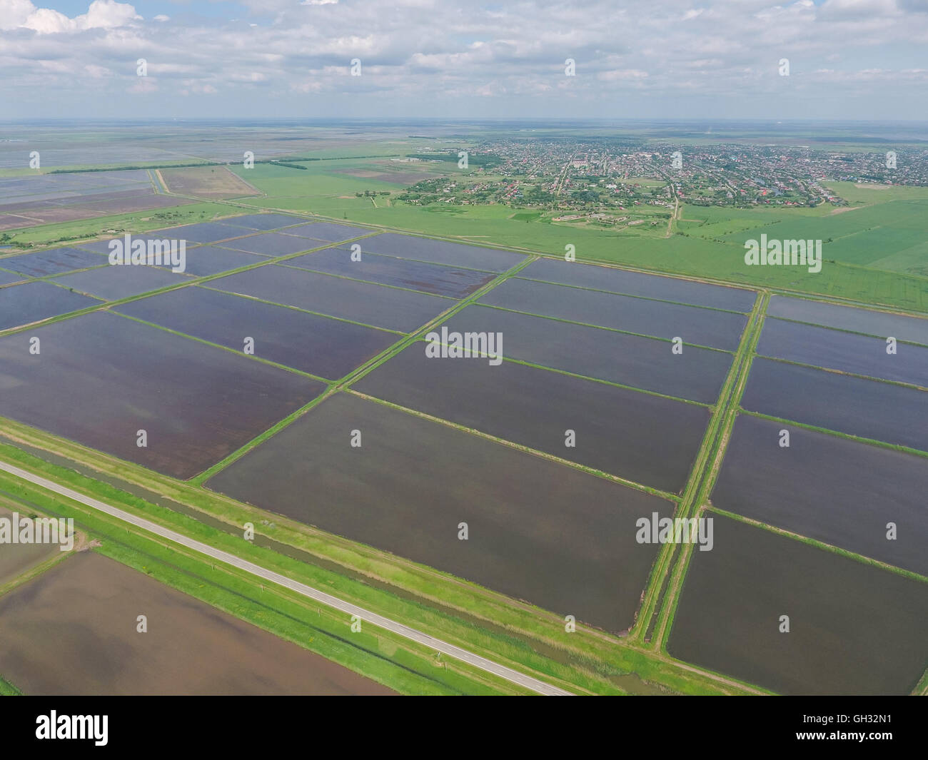 Flooded rice paddies. Agronomic methods of growing rice in the fields ...