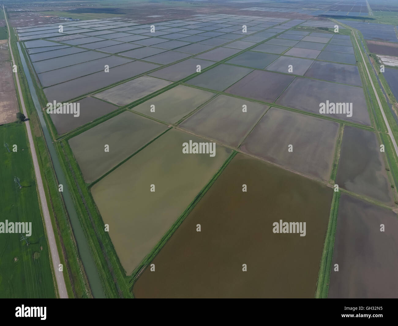 Flooded rice paddies. Agronomic methods of growing rice in the fields ...