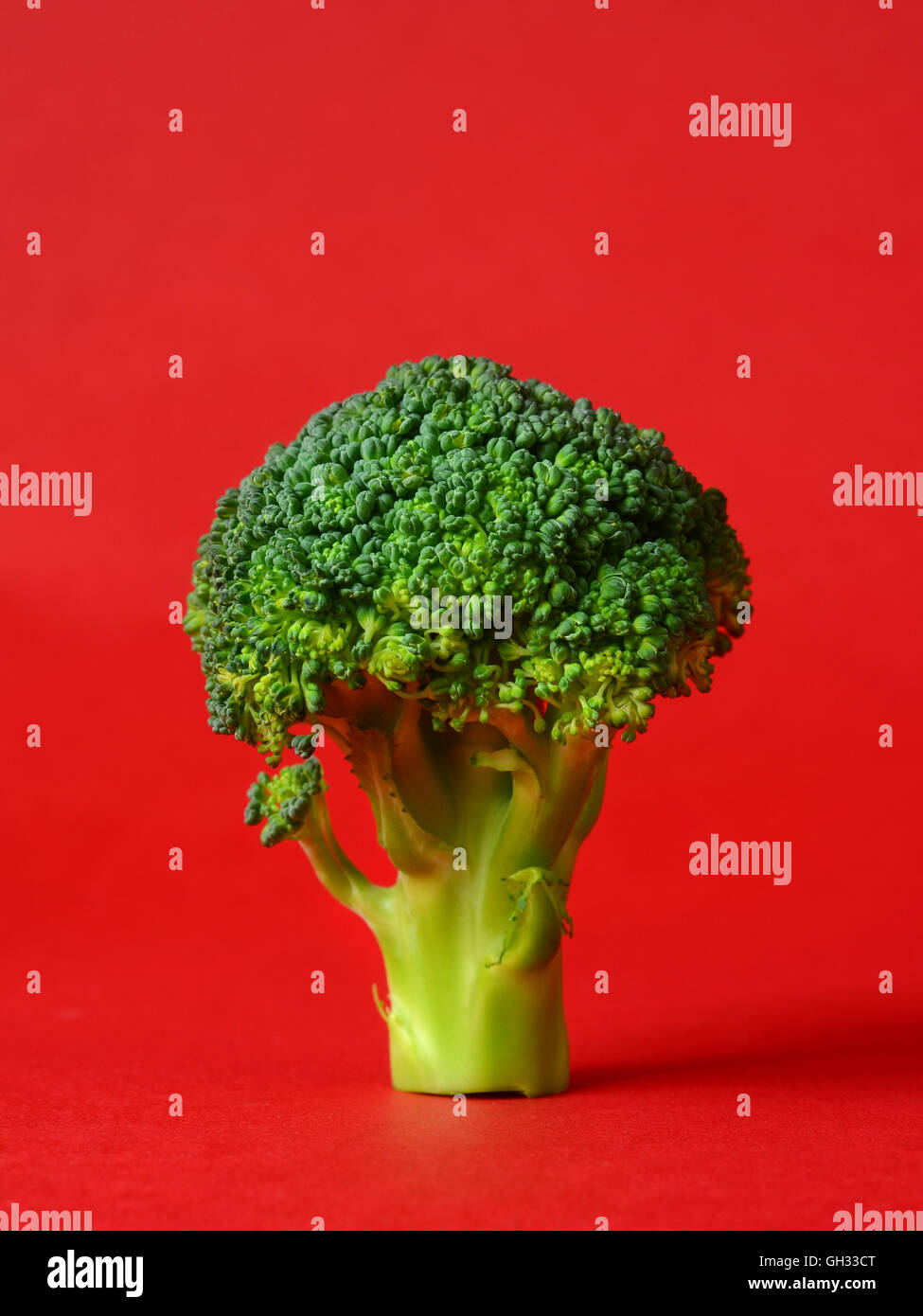fresh green broccoli on a red background Stock Photo - Alamy