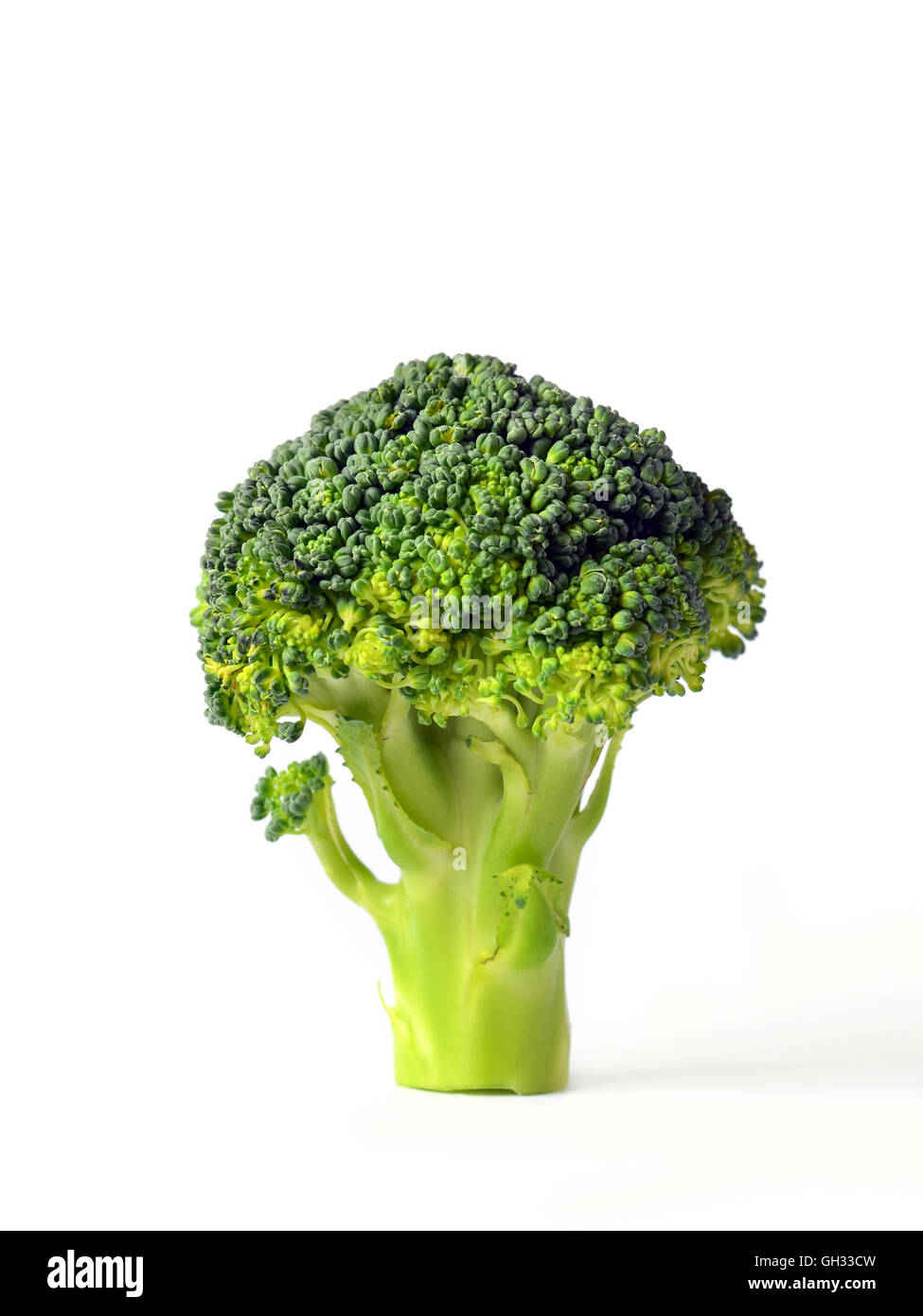 Colorful background Cut Out Stock Images & Pictures - Alamy