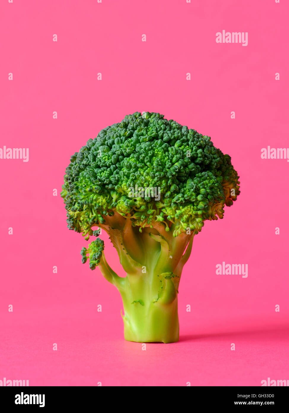 fresh green broccoli on a pink background Stock Photo - Alamy