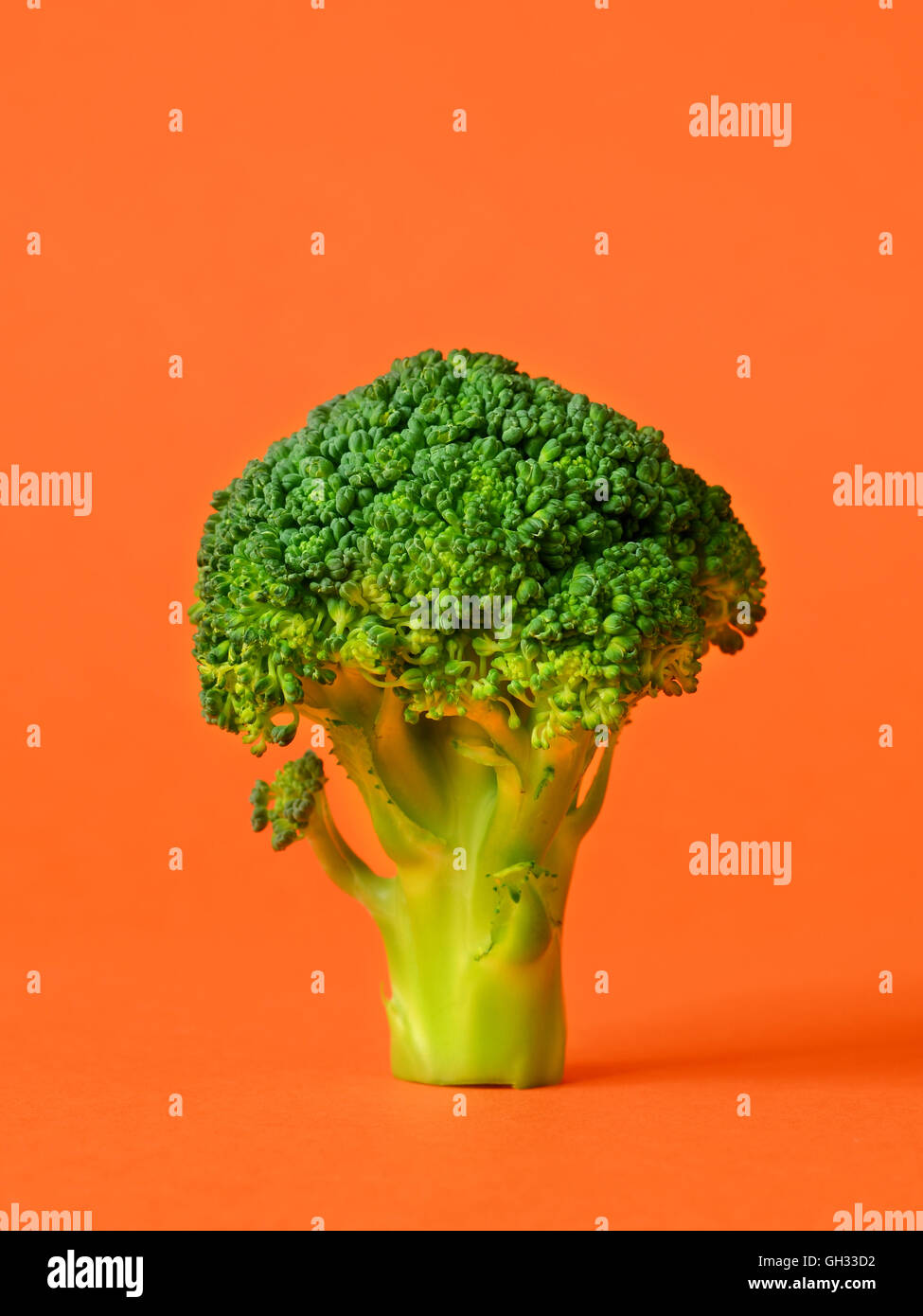 fresh green broccoli onorange colored background Stock Photo - Alamy