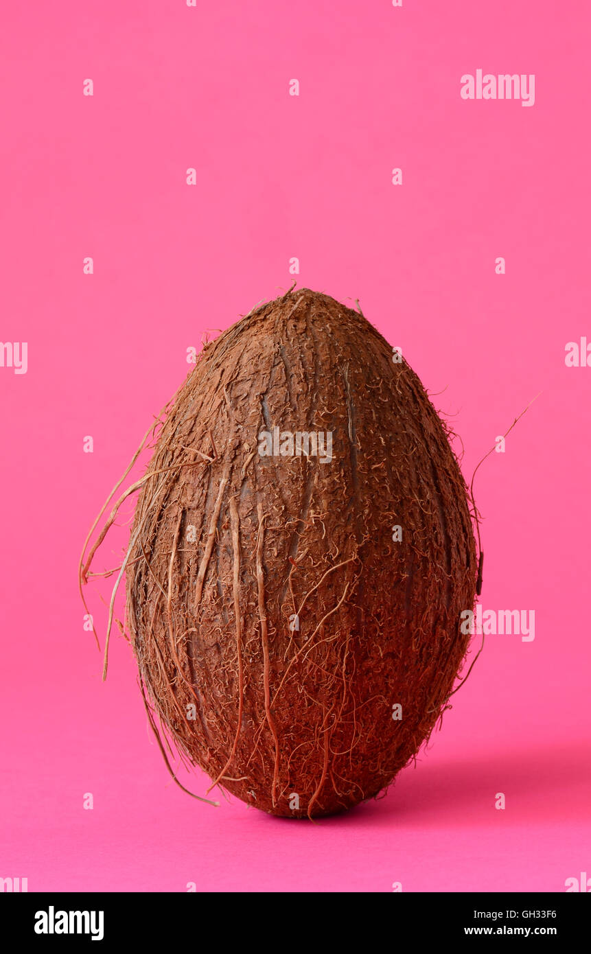 Single whole coconut on a pink background Stock Photo - Alamy